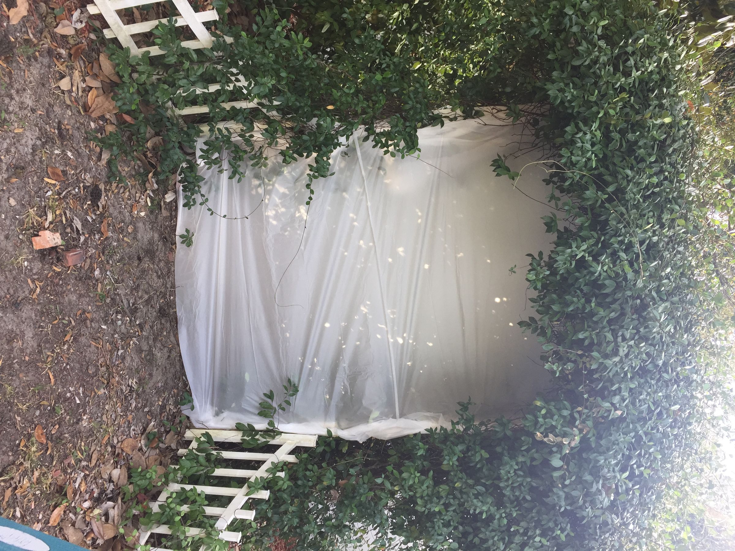 Stranger Things Halloween Light Show, Castle, Scare, Portal and MORE ...