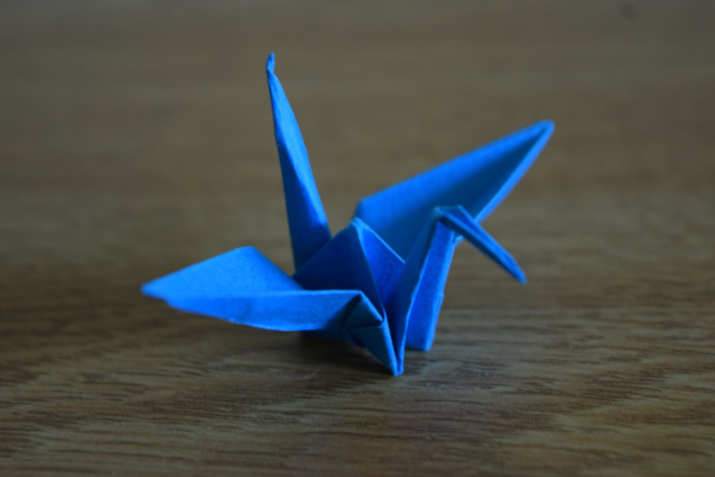 How to Fold Origami Cranes : 5 Steps (with Pictures) - Instructables