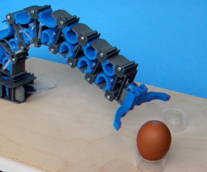 3D Printed Artificial Muscles: Erector Set : 6 Steps (with Pictures ...