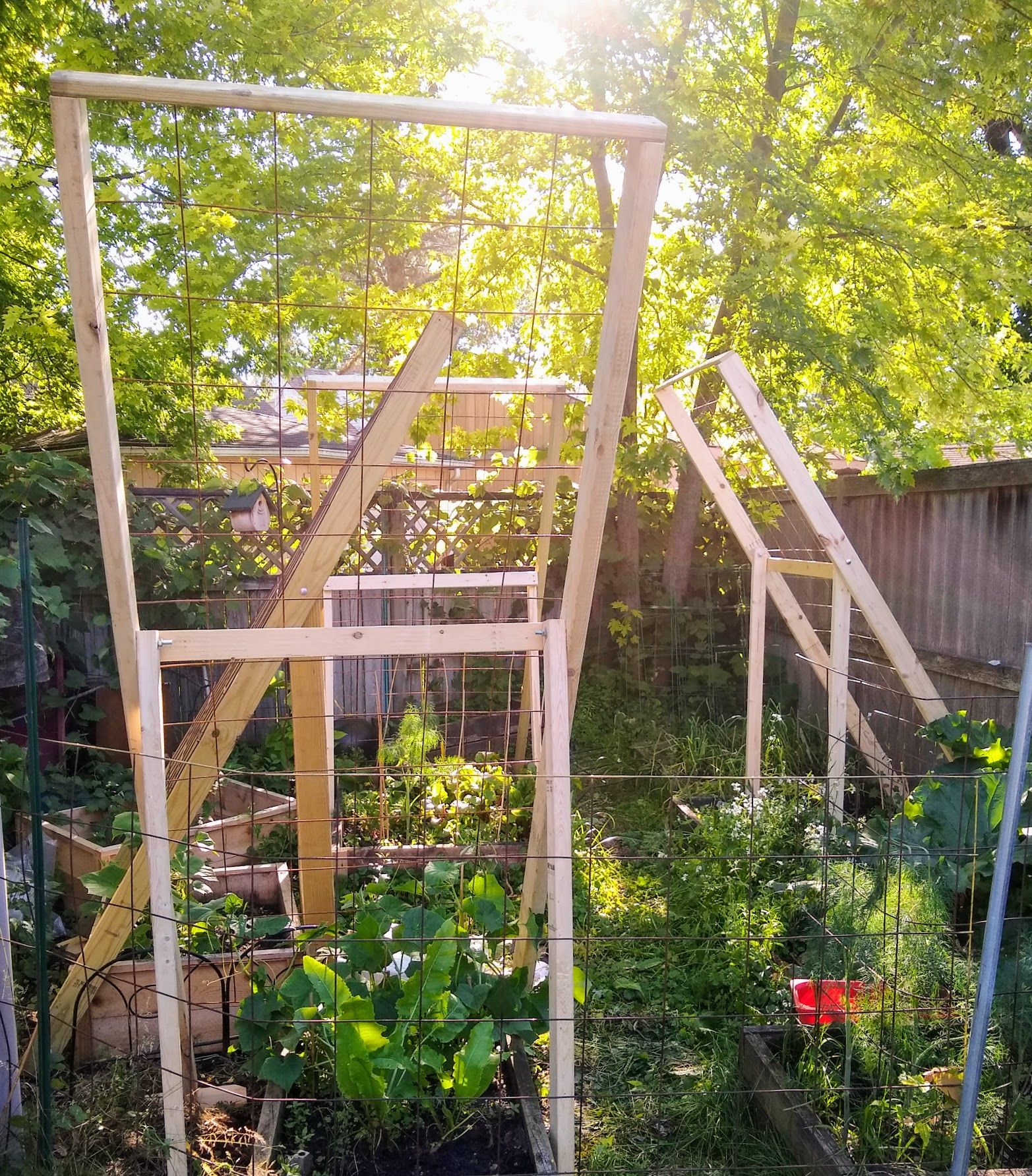 My Best Vegetable Trellis: Durable, Collapsible, Flexible : 8 Steps ...