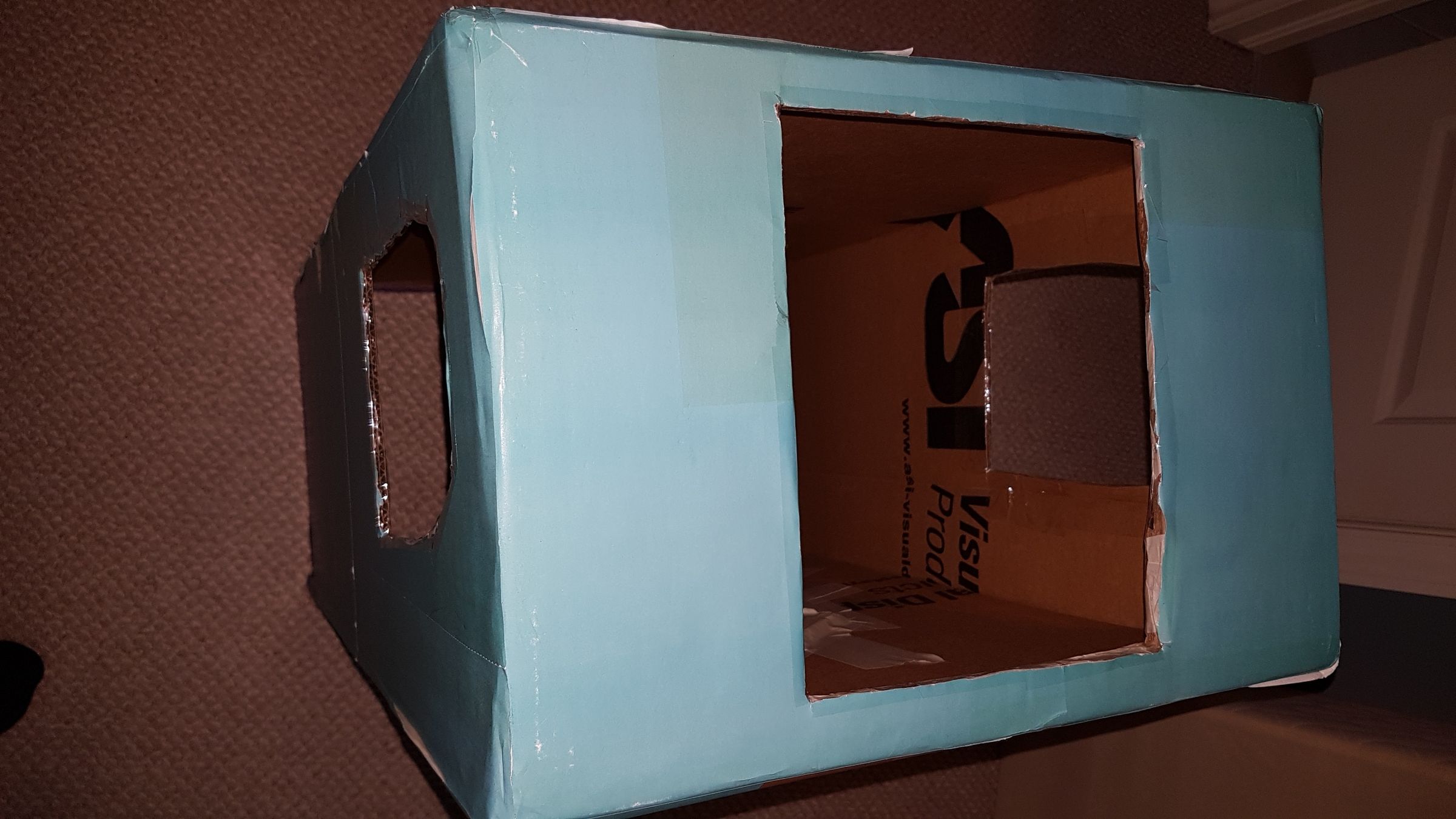 Minecraft Steve Cardboard Box Costume DIY : 12 Steps - Instructables