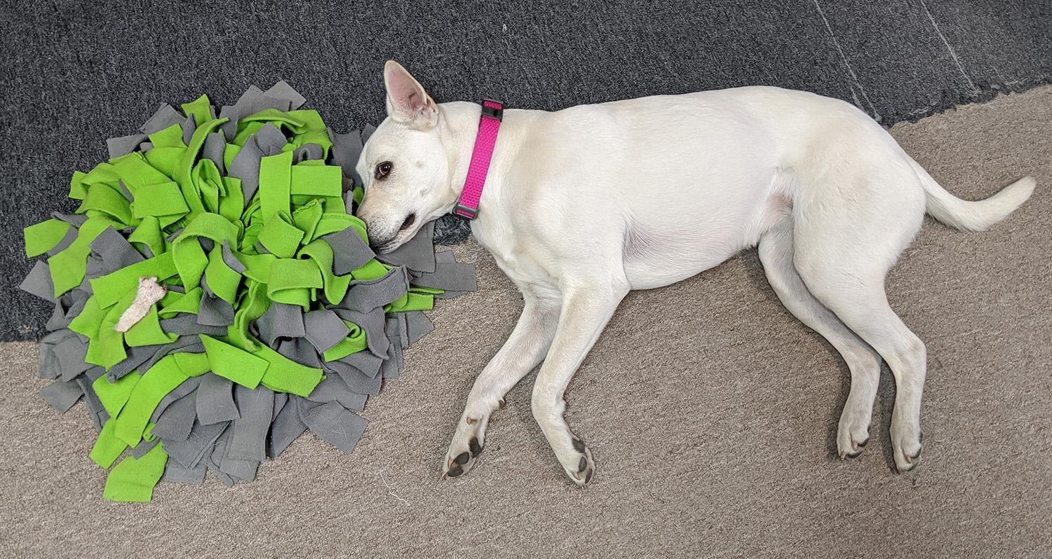 How to Make Your Pet a Durable Snuffle Mat : 4 Steps (with Pictures ...