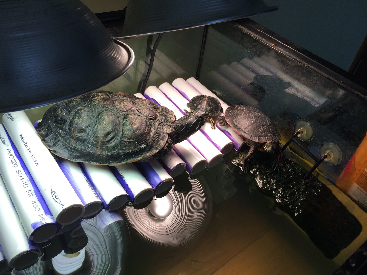 PVC Turtle Dock : 6 Steps - Instructables