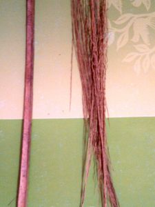 Stick Insect- Make at Home : 4 Steps - Instructables