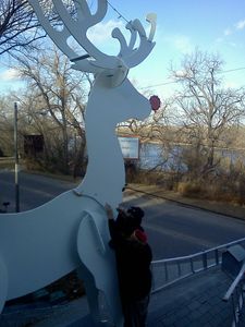 GINORMAS Holiday Reindeer Aka Rudolph : 9 Steps (with Pictures ...