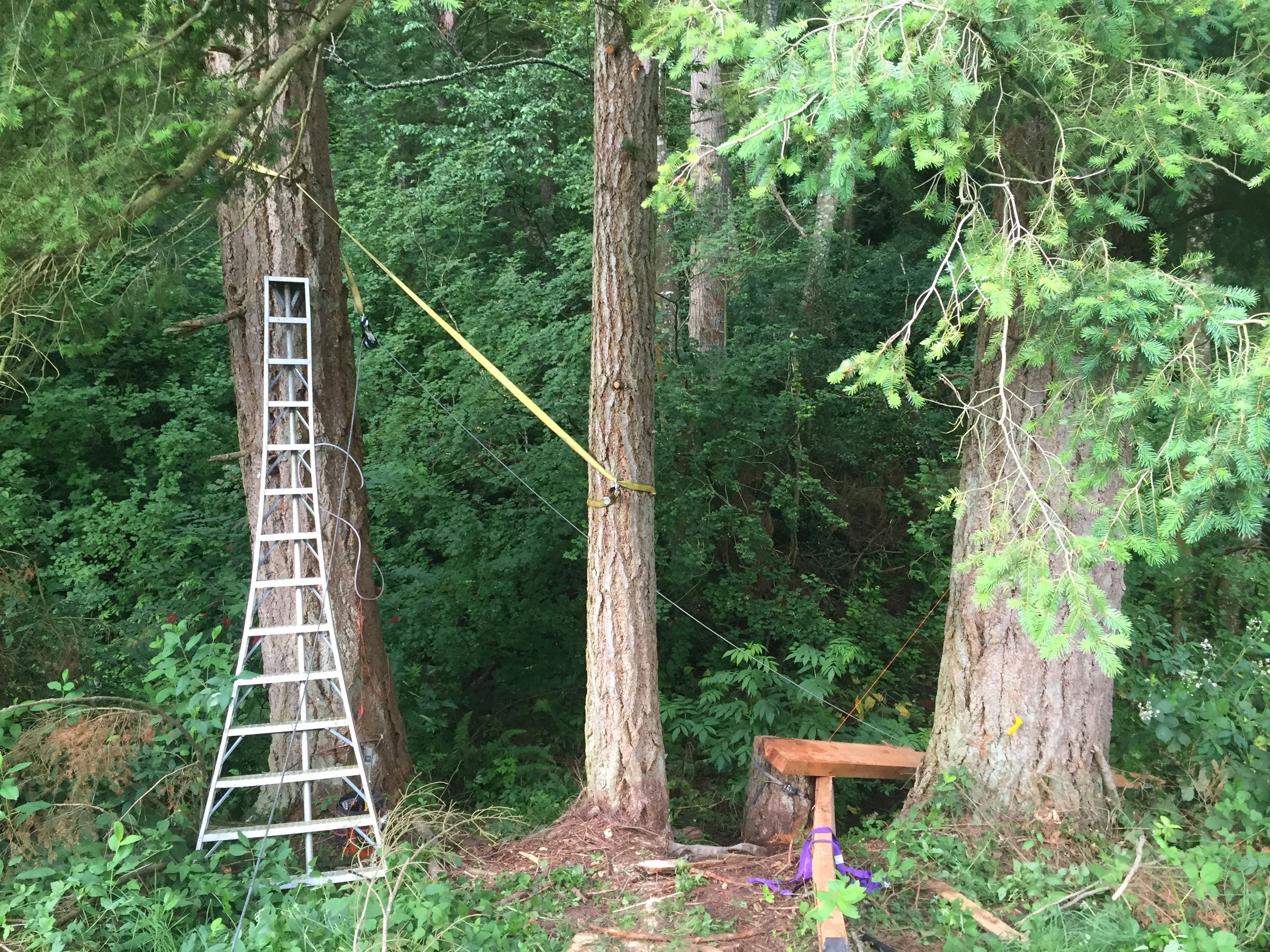 Treehouse Build : 10 Steps (with Pictures) - Instructables