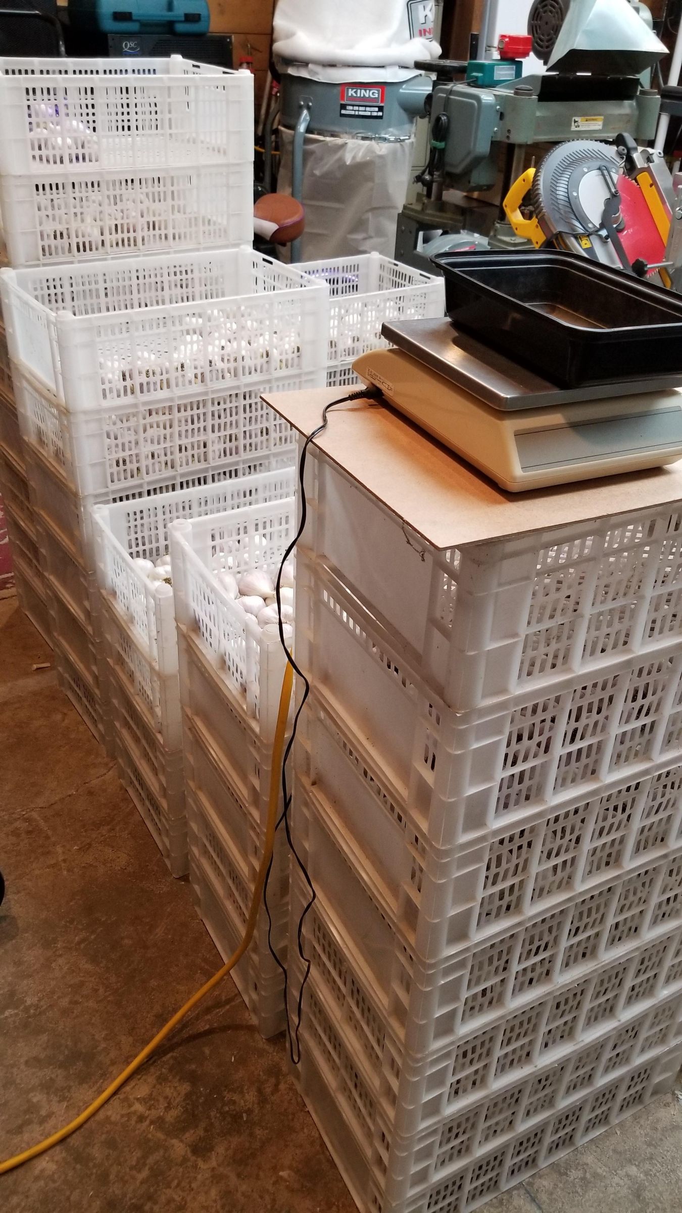 Garlic Gardening : 49 Steps (with Pictures) - Instructables