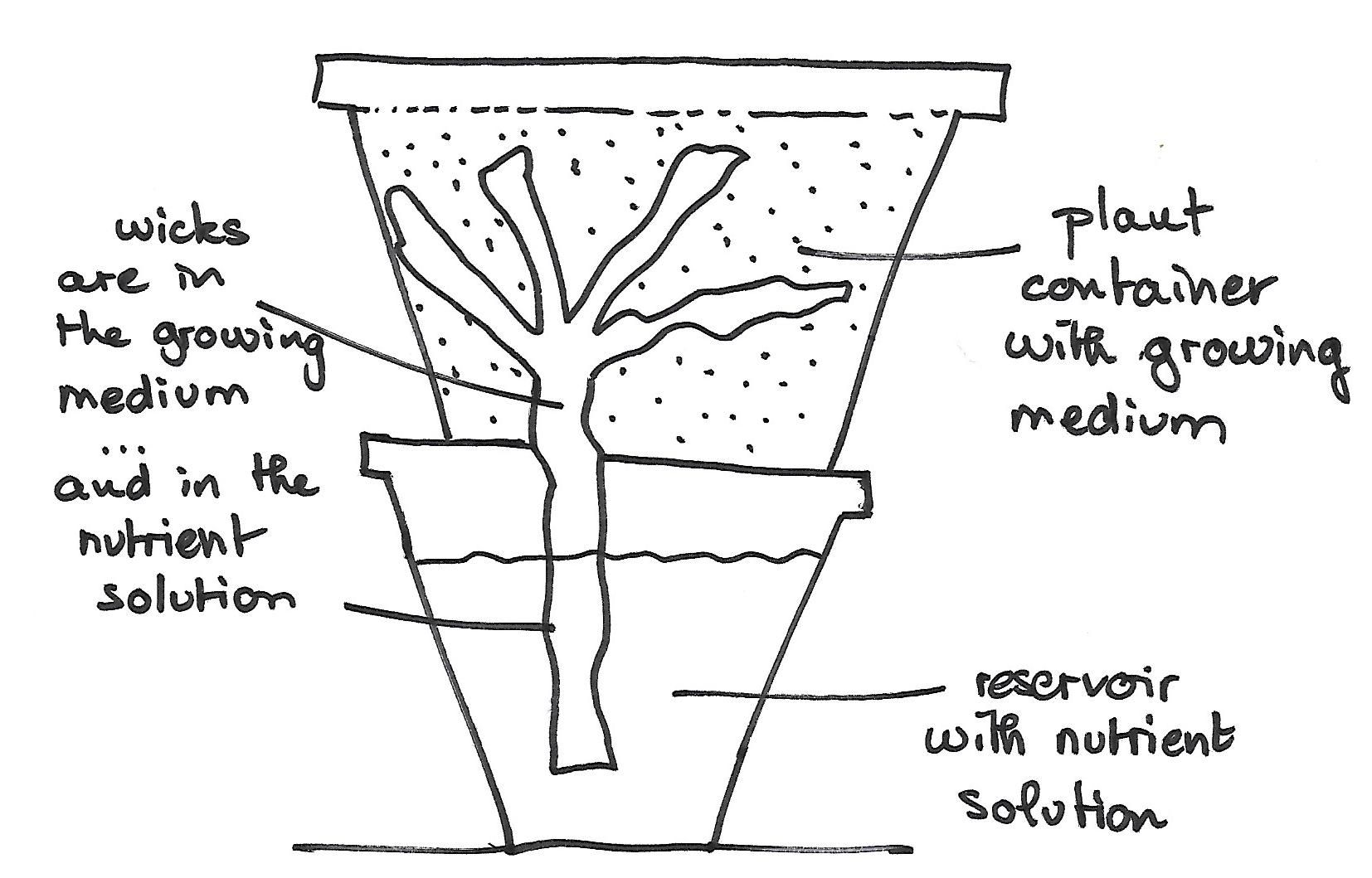 First-timer Hydroponic: the Wick System Incl. Vermiponics and Major ...
