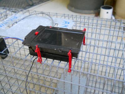 Remote Control Cage Trap : 5 Steps (with Pictures) - Instructables