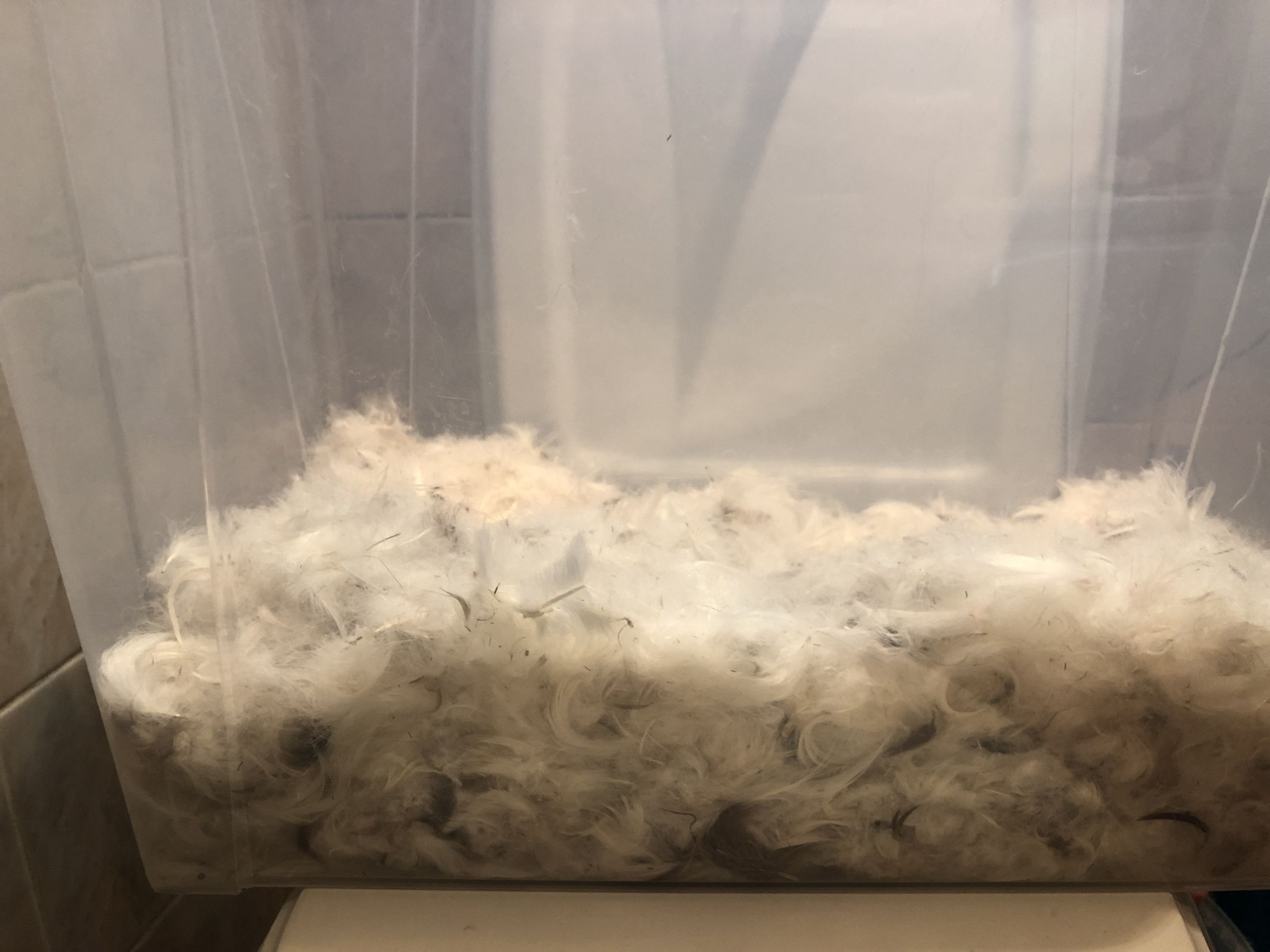 Down Sorting Station : 5 Steps (with Pictures) - Instructables