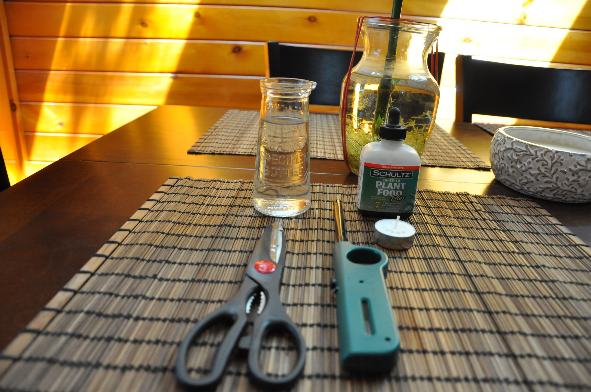 Cloning Your Bamboo : 7 Steps (with Pictures) - Instructables