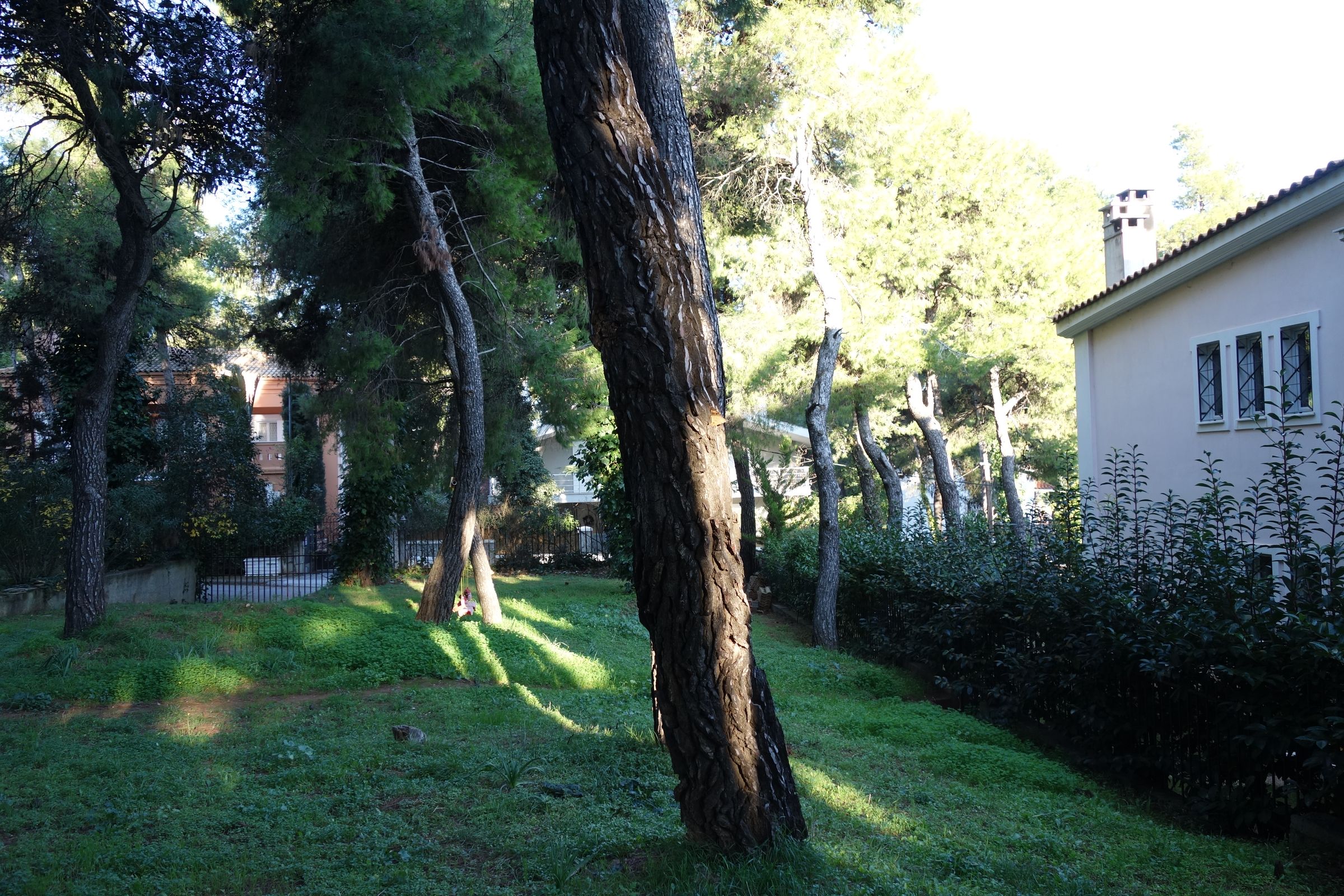 Treehouse on Two Trees : 22 Steps (with Pictures) - Instructables