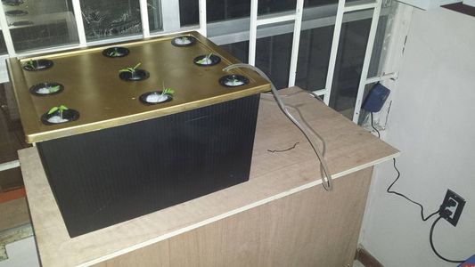 Basics of Hydroponics System - Floating Root Technique : 8 Steps (with ...