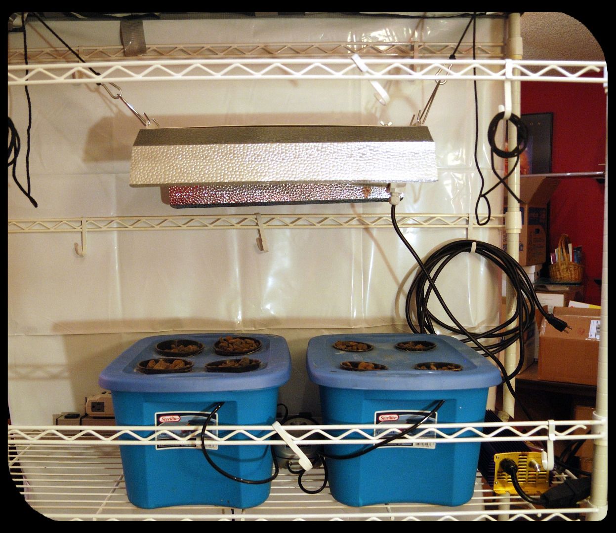 Hydroponics Setup on Wheels : 11 Steps (with Pictures) - Instructables