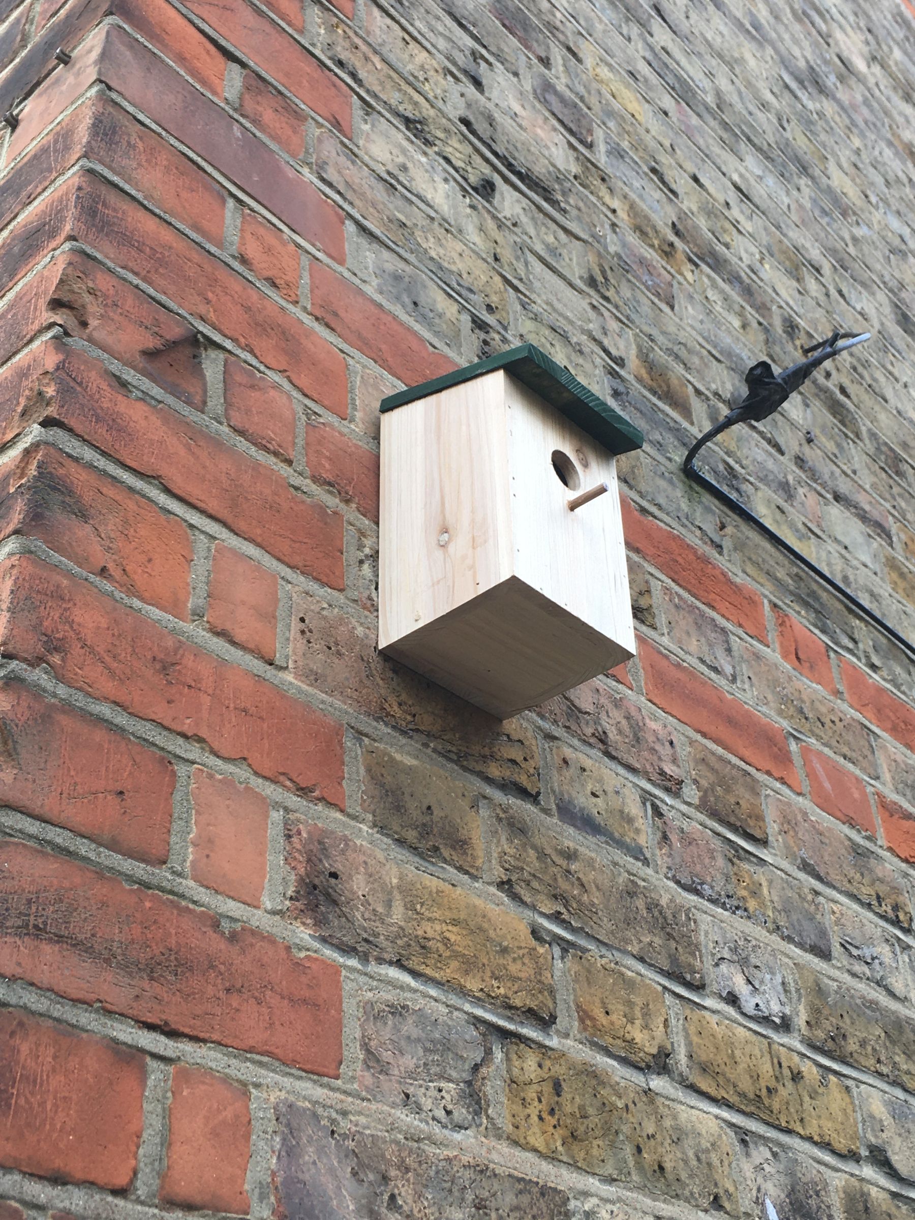 Make a WiFi Camera Bird Box - Cheepy Cheap! : 16 Steps (with Pictures ...