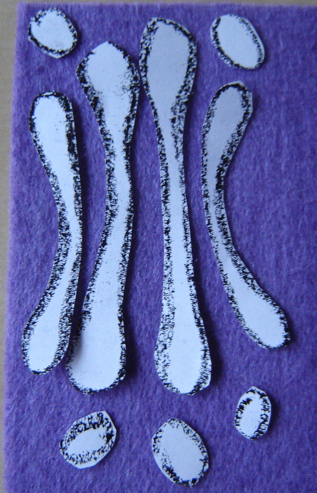 Plush Cell Model : 13 Steps (with Pictures) - Instructables