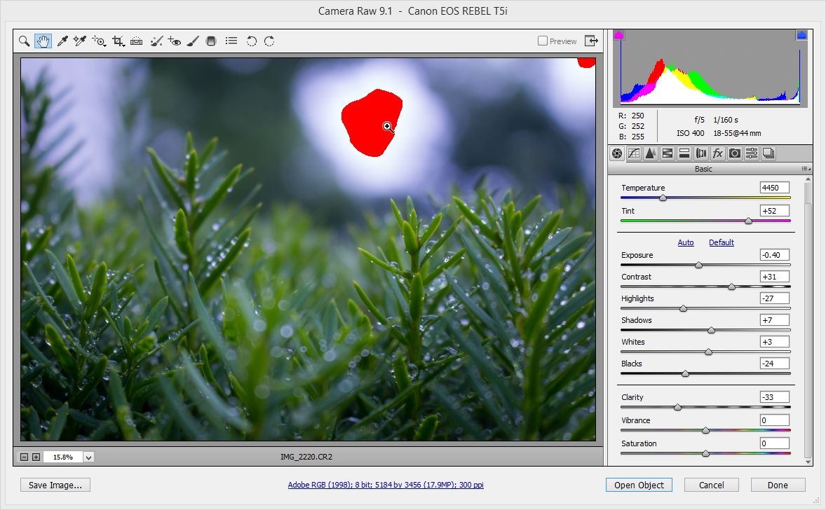 A Complete Beginner's Guide to Raw Files and Raw Processing : 11 Steps ...