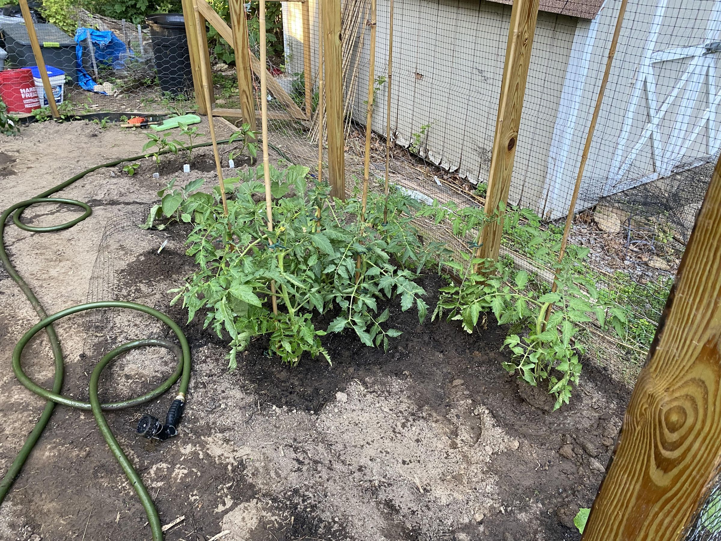 Protected Garden Enclosure 2.0 : 7 Steps (with Pictures) - Instructables
