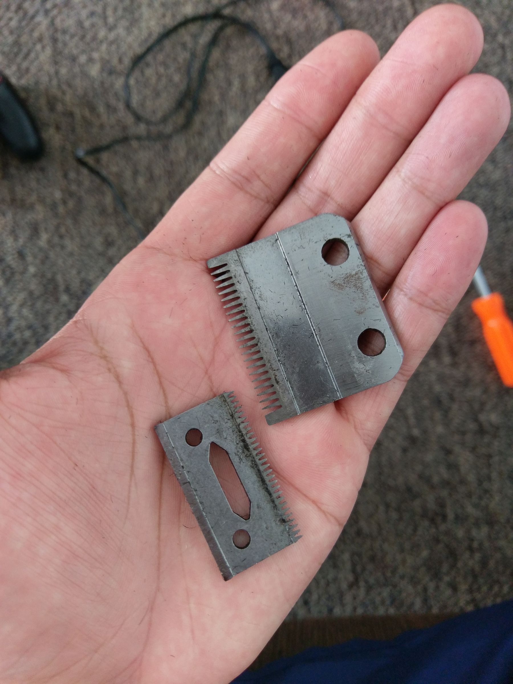 Clipper Maintenance : 5 Steps (with Pictures) - Instructables