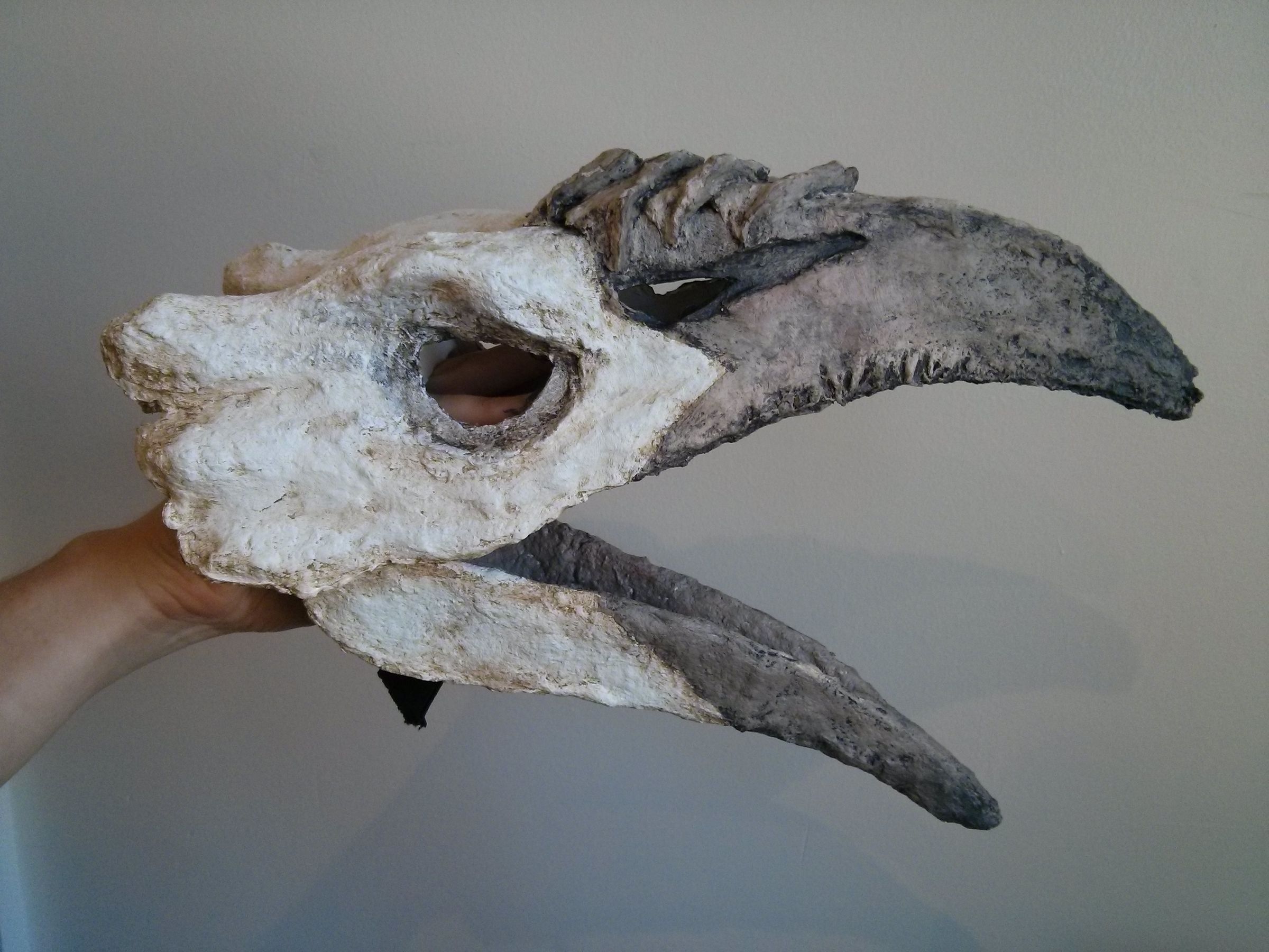 Bird Skull Puppet : 7 Steps (with Pictures) - Instructables