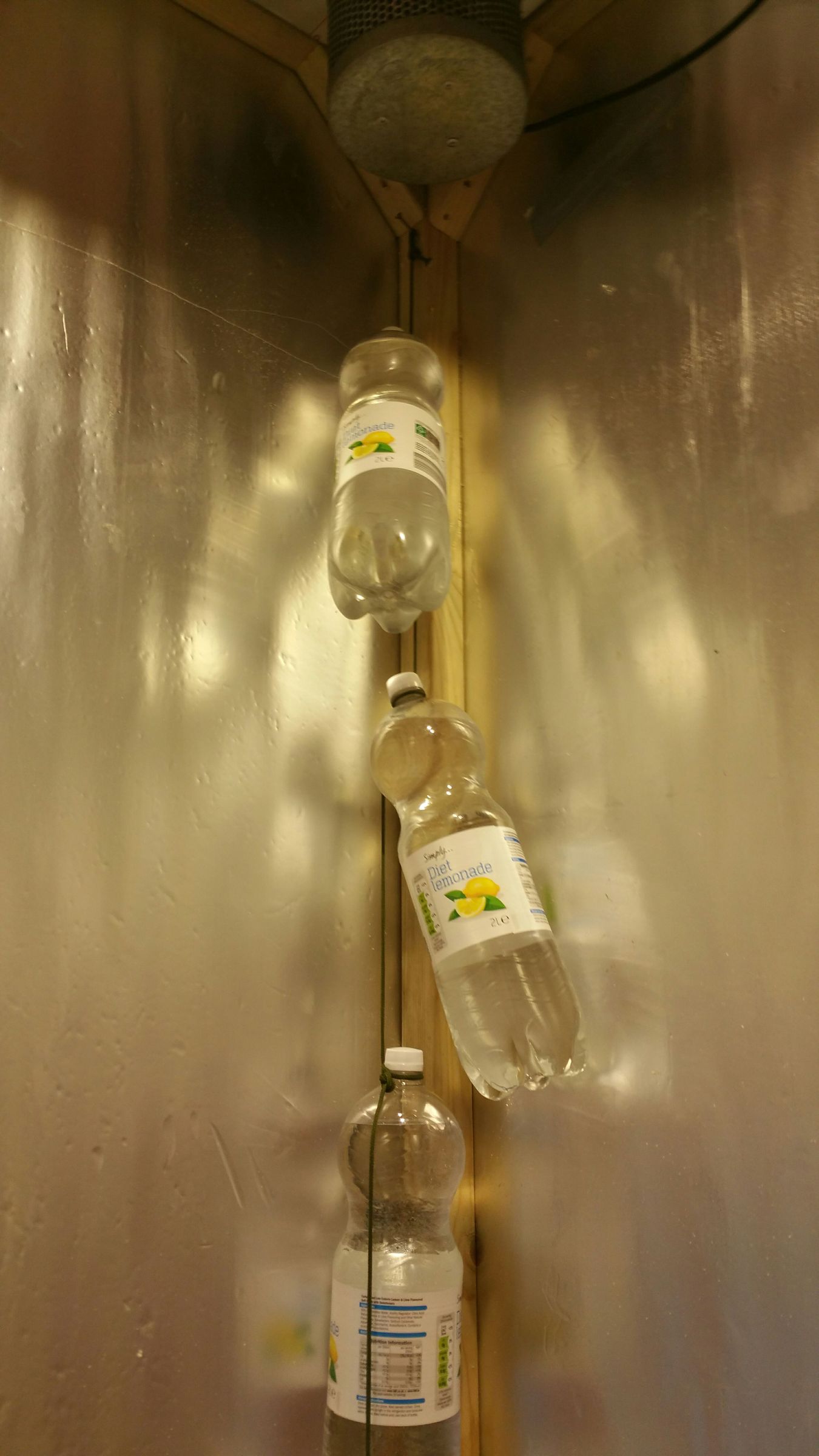 Fly Cage Black Soldier Fly Breeding UK. : 9 Steps (with Pictures ...