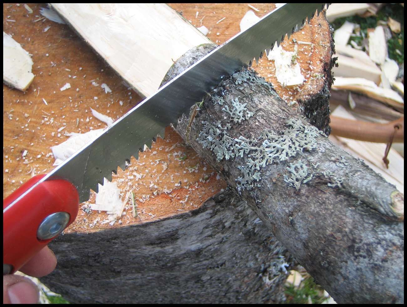 How to Carve a Sword : 4 Steps (with Pictures) - Instructables