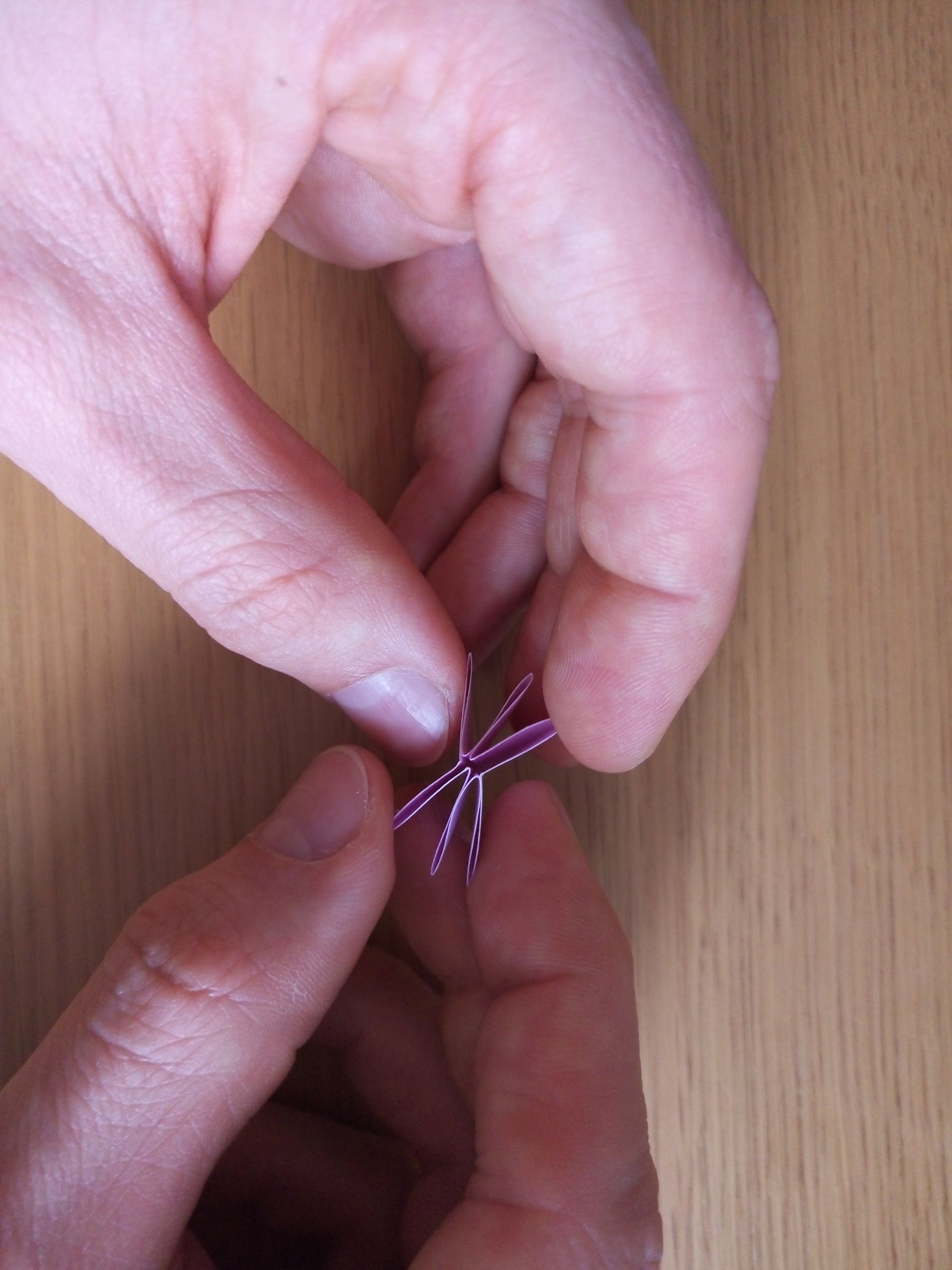 Origami Hyacinth : 9 Steps (with Pictures) - Instructables