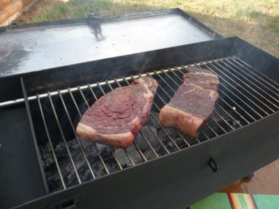 DIY- Portable Toolbox Grill- Improved! : 12 Steps (with Pictures ...