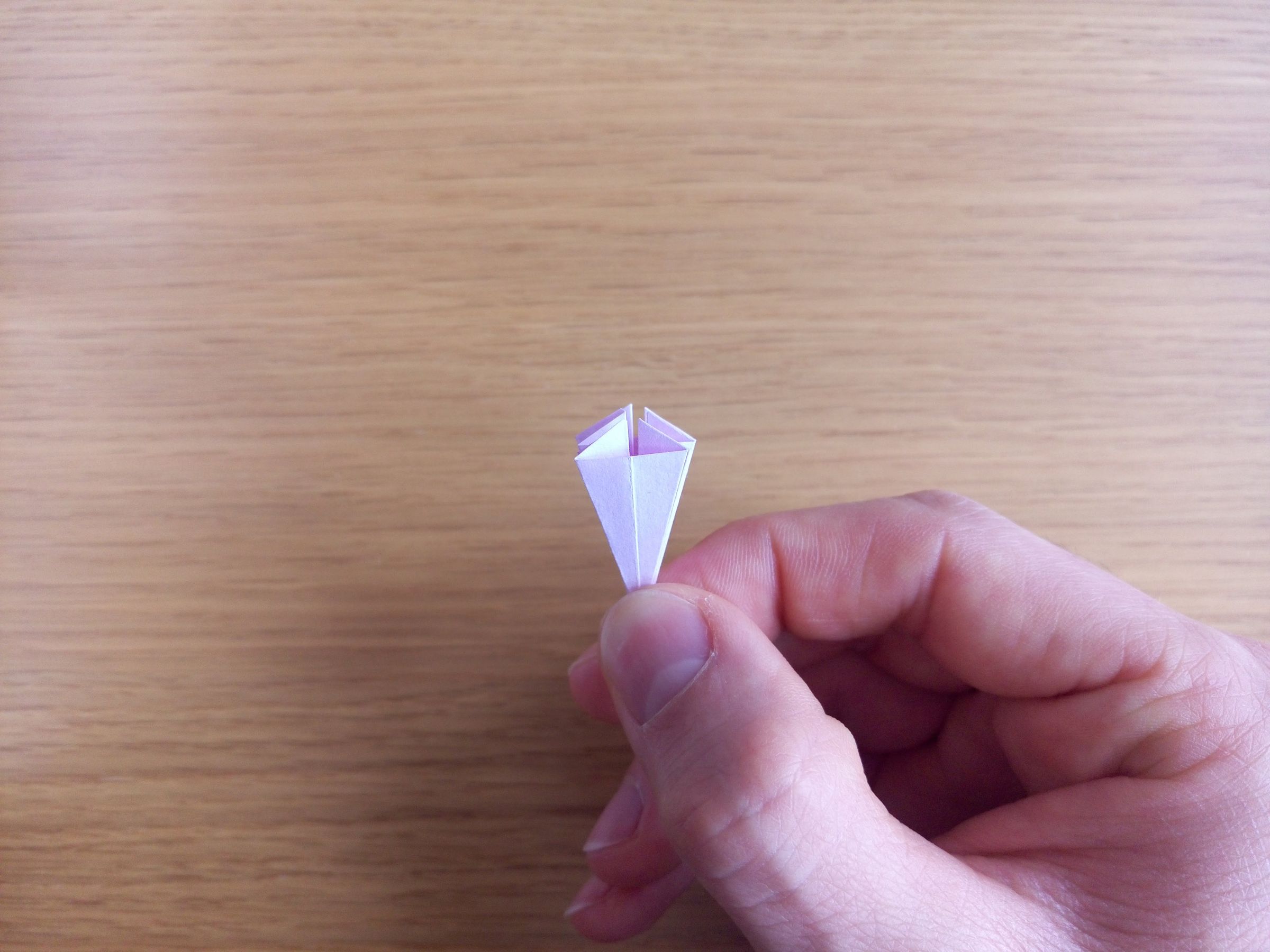 Origami Hyacinth : 9 Steps (with Pictures) - Instructables