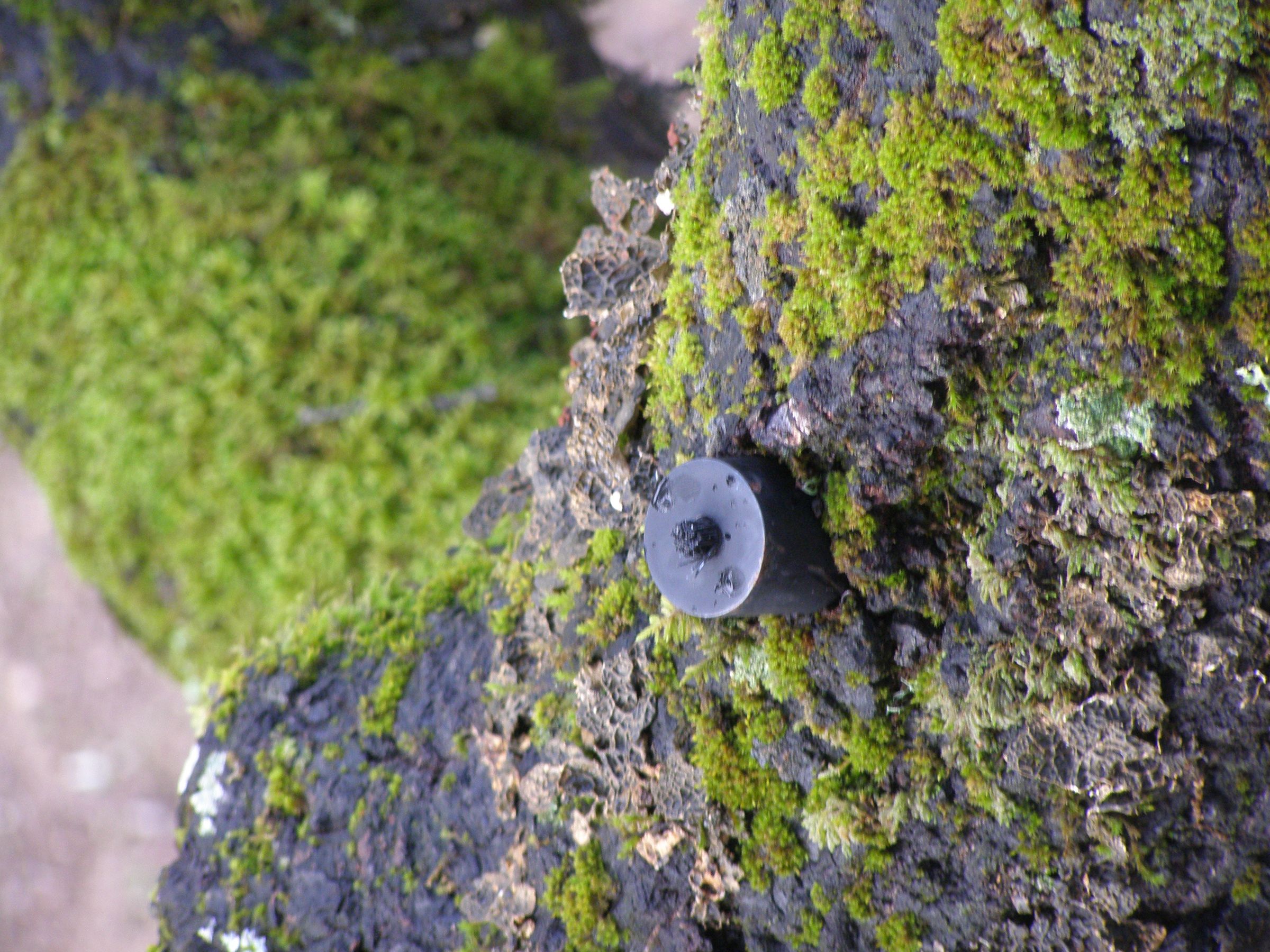 Treehouse Hardware Series - Tree Attachment Bolt (TAB) : 9 Steps (with ...