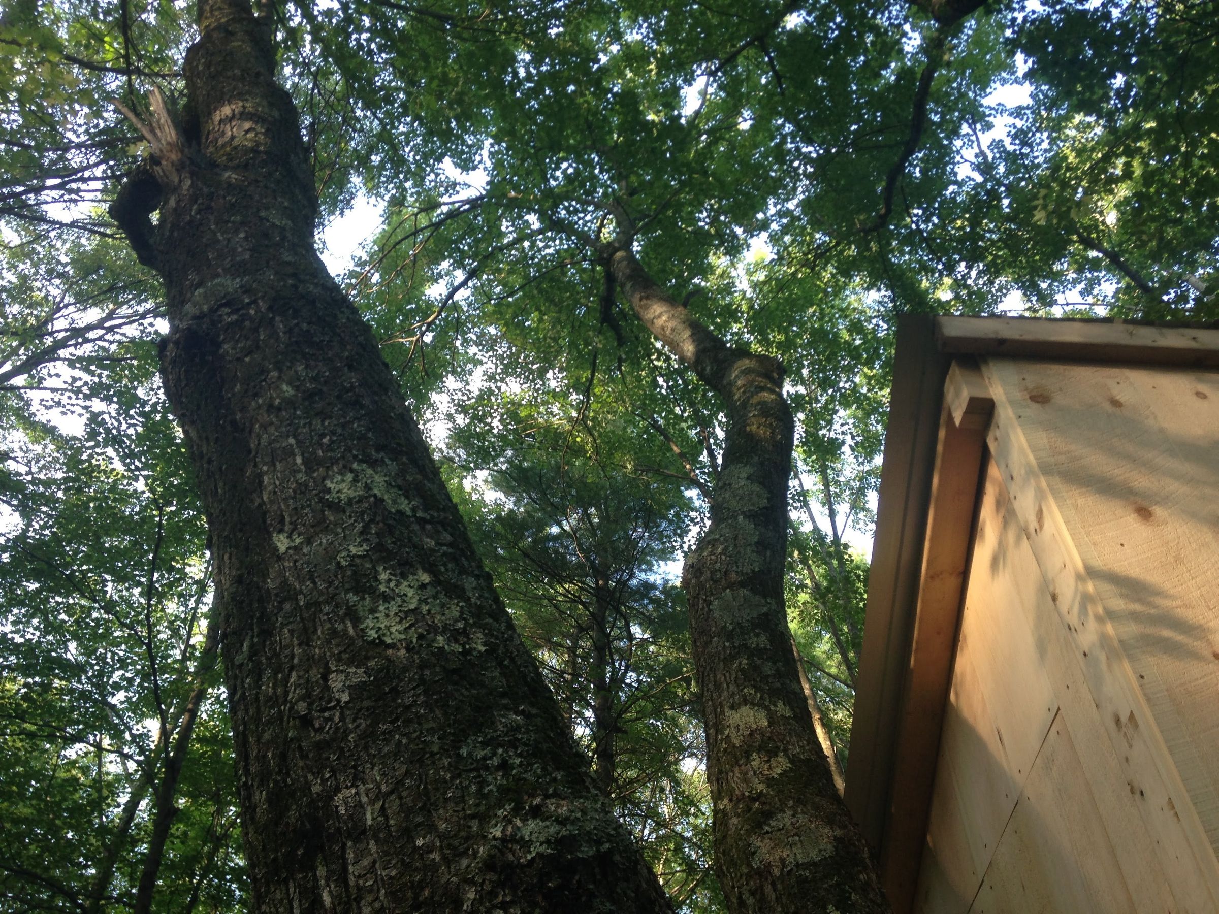 Multi Level Tree House From Recycled Materials : 10 Steps (with ...