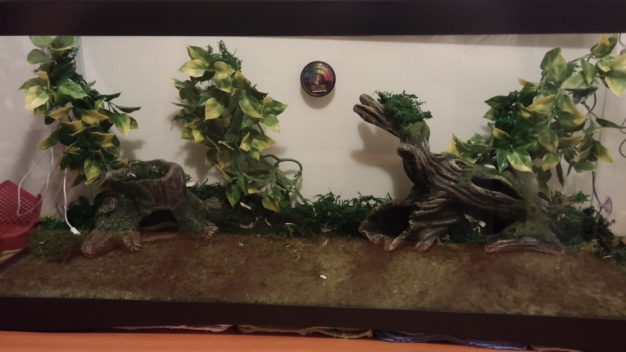 How to Set Up a Reptile Terrarium : 8 Steps (with Pictures) - Instructables
