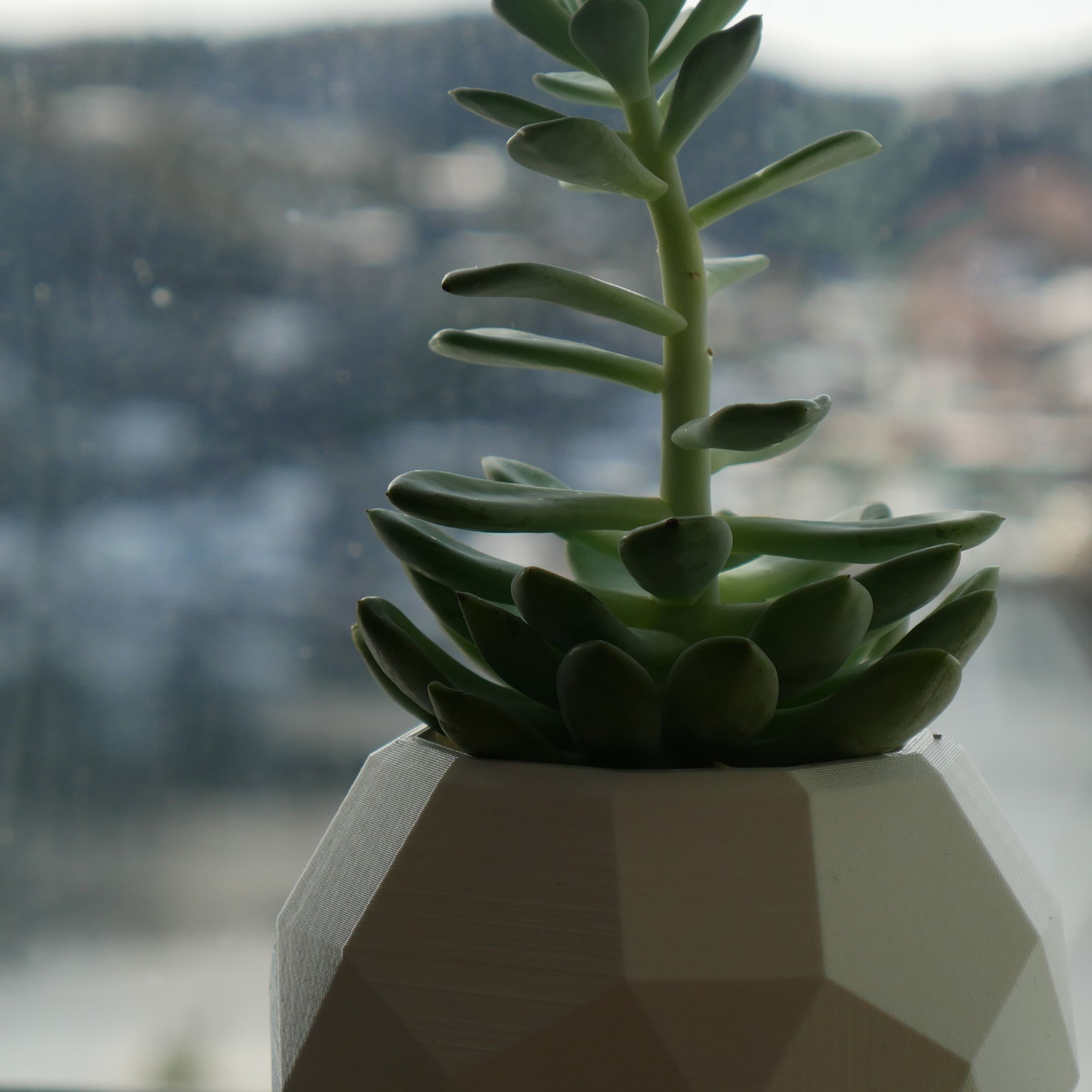 DIY Levitating Planter V2! - 3D Printed Version : 8 Steps - Instructables