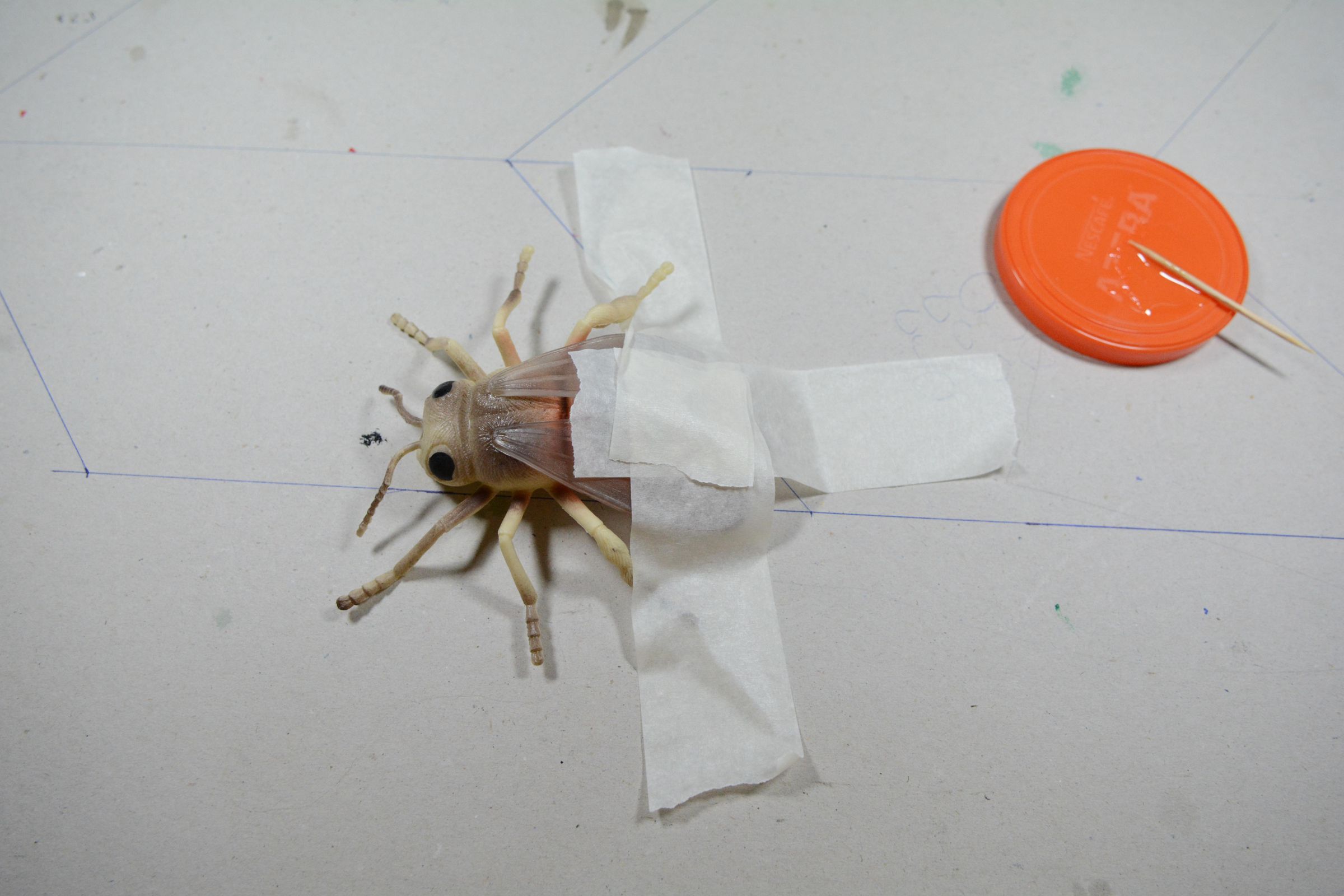 How to Make an Insect Belt Buckle : 10 Steps (with Pictures ...