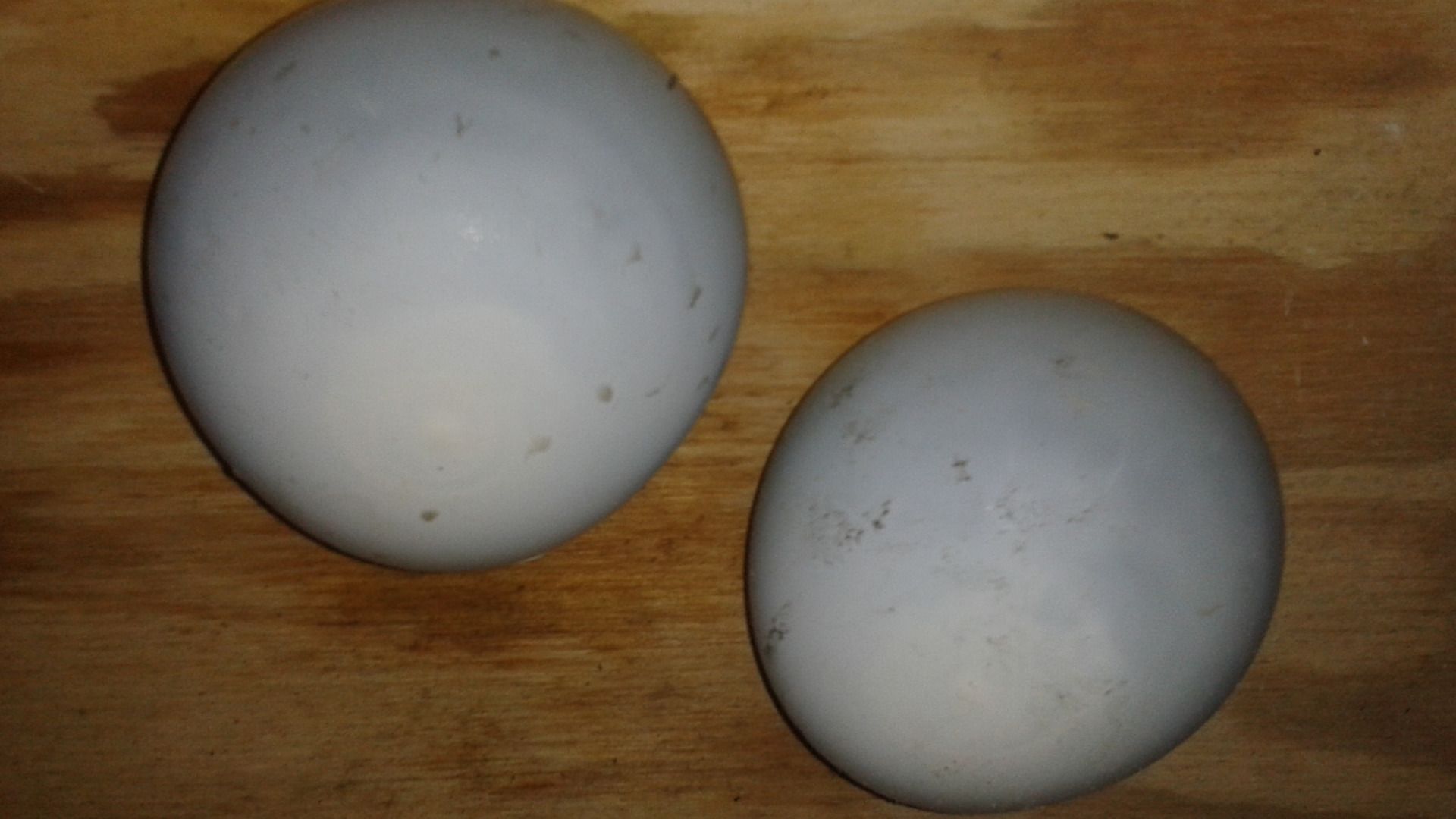 Casting Concrete in Balloons : 4 Steps (with Pictures) - Instructables