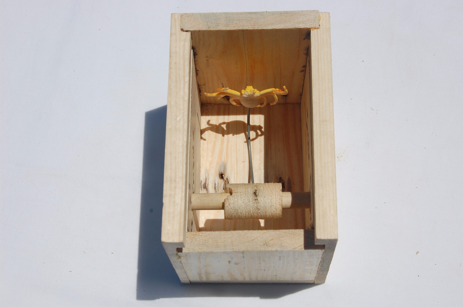 Spider Box : 11 Steps (with Pictures) - Instructables