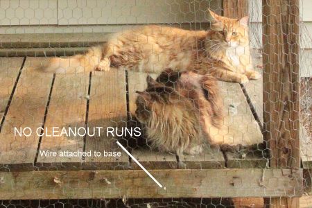 Build an All Season Outdoor Cat Habitat : 16 Steps (with Pictures ...