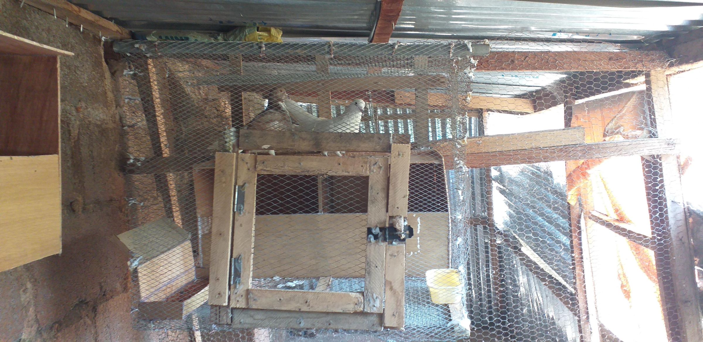 Pigeon House : 8 Steps (with Pictures) - Instructables