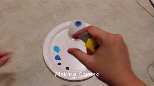 How to Make 3D Human Eye Model: Easy Way - Instructables