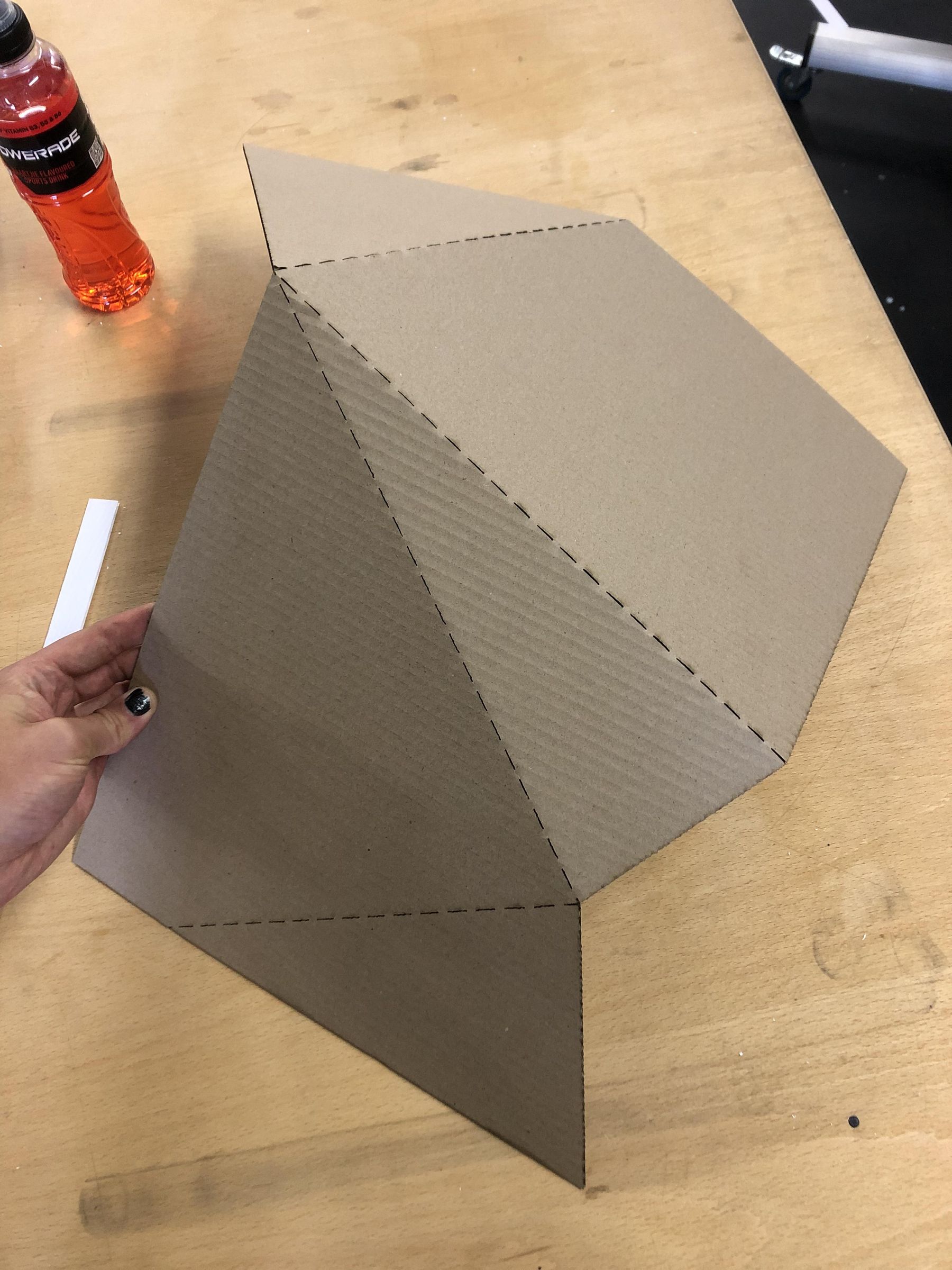 Big Head Sculpture: Projection Mapping Art Project : 13 Steps (with ...