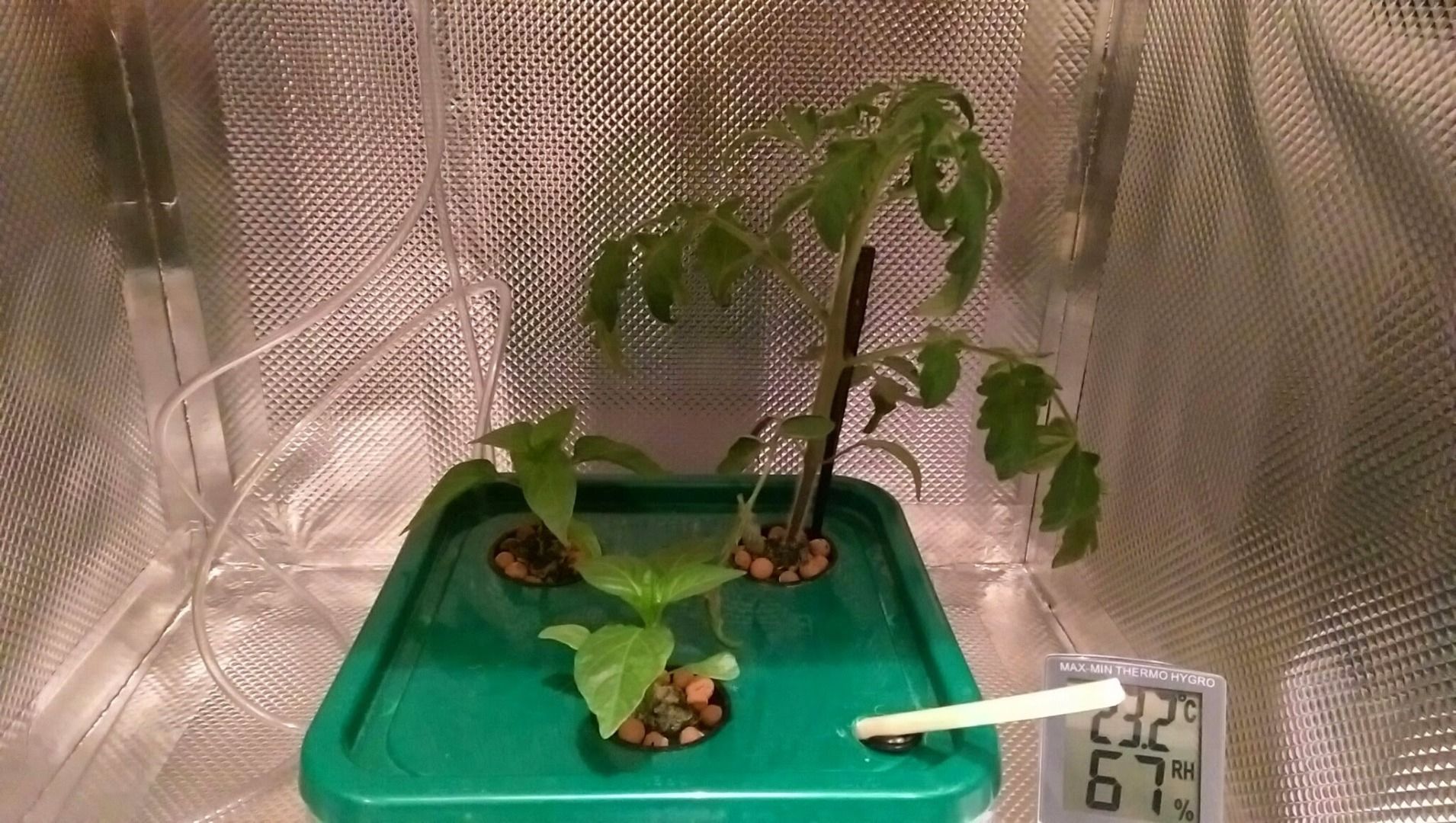 Kitchen Unit Hydroponics : 9 Steps (with Pictures) - Instructables