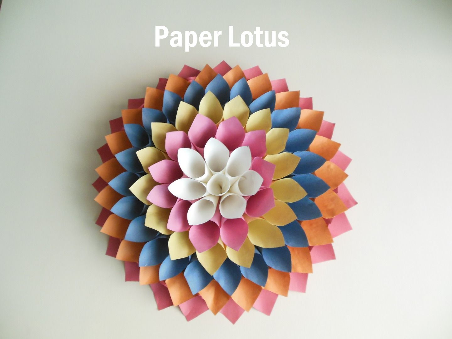 Paper Lotus : 6 Steps (with Pictures) - Instructables
