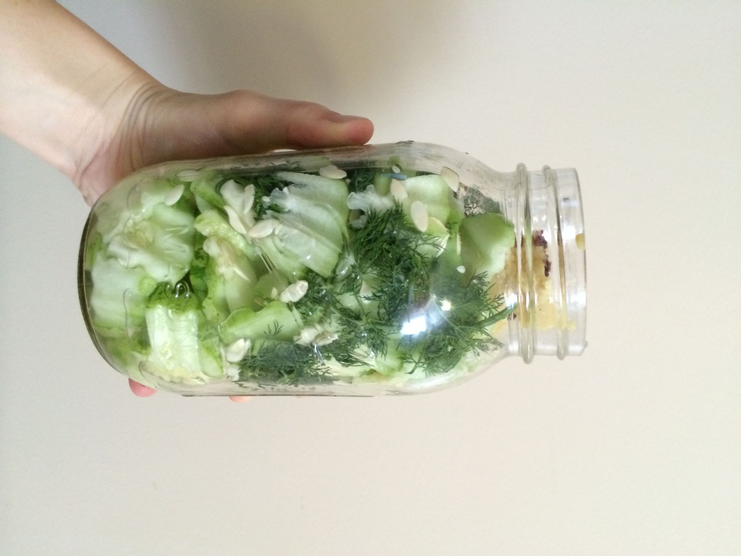 Just in Time for BBQ Season Homemade Pickles : 3 Steps (with Pictures ...