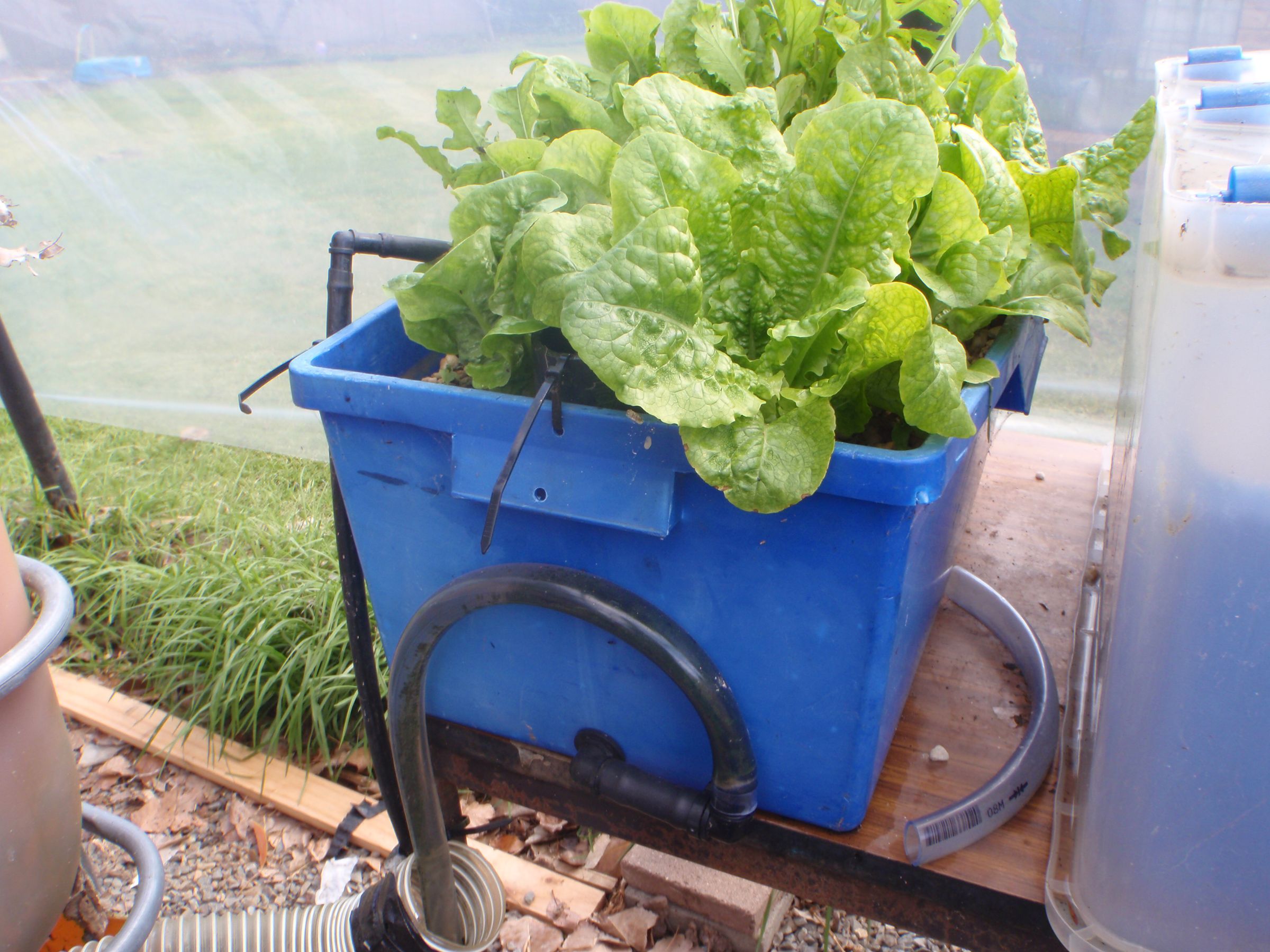 Vermiponic Garden : 12 Steps (with Pictures) - Instructables