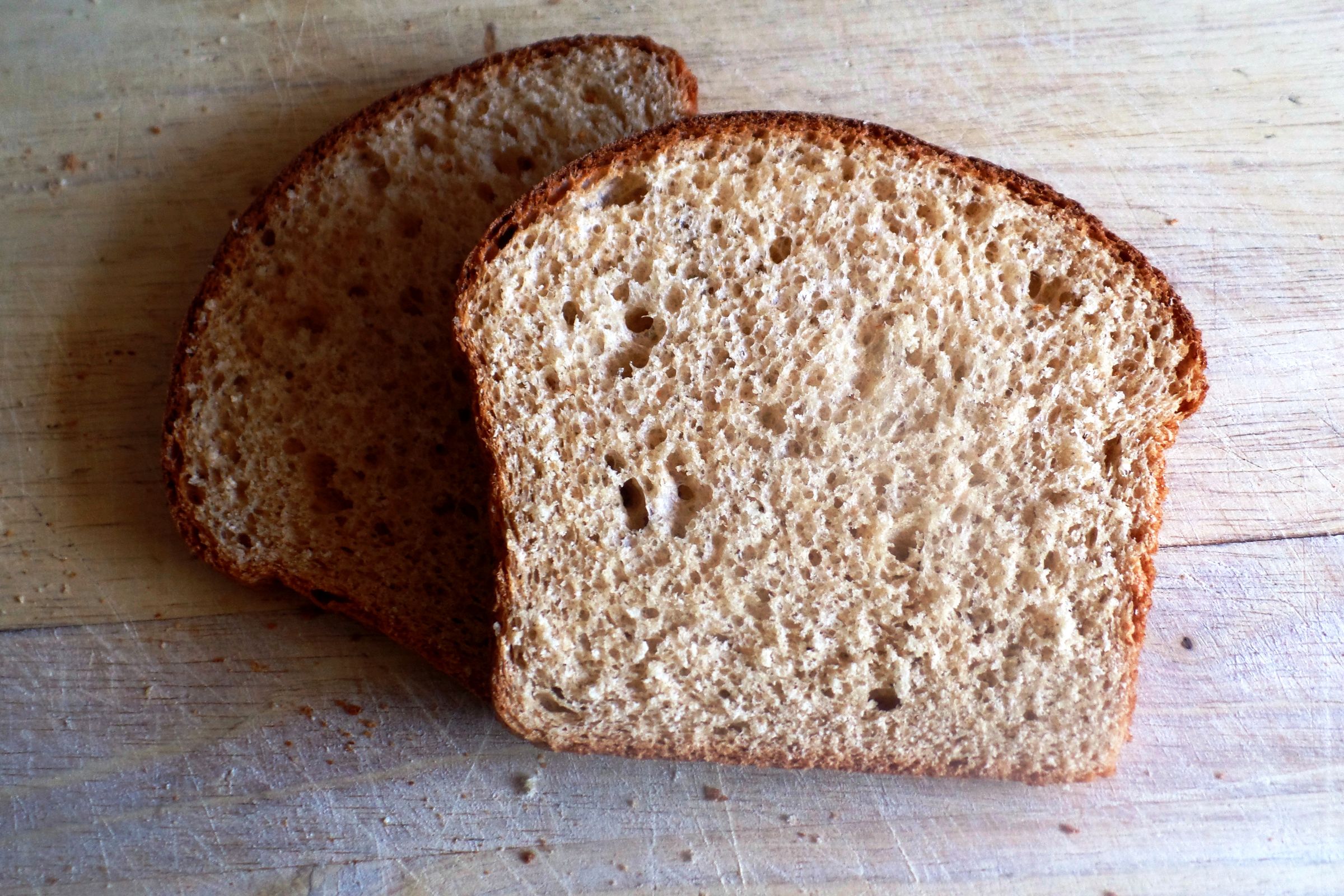 100% Whole Wheat Home-Ground Sandwich Bread, Rolls, and Focaccia : 8 ...