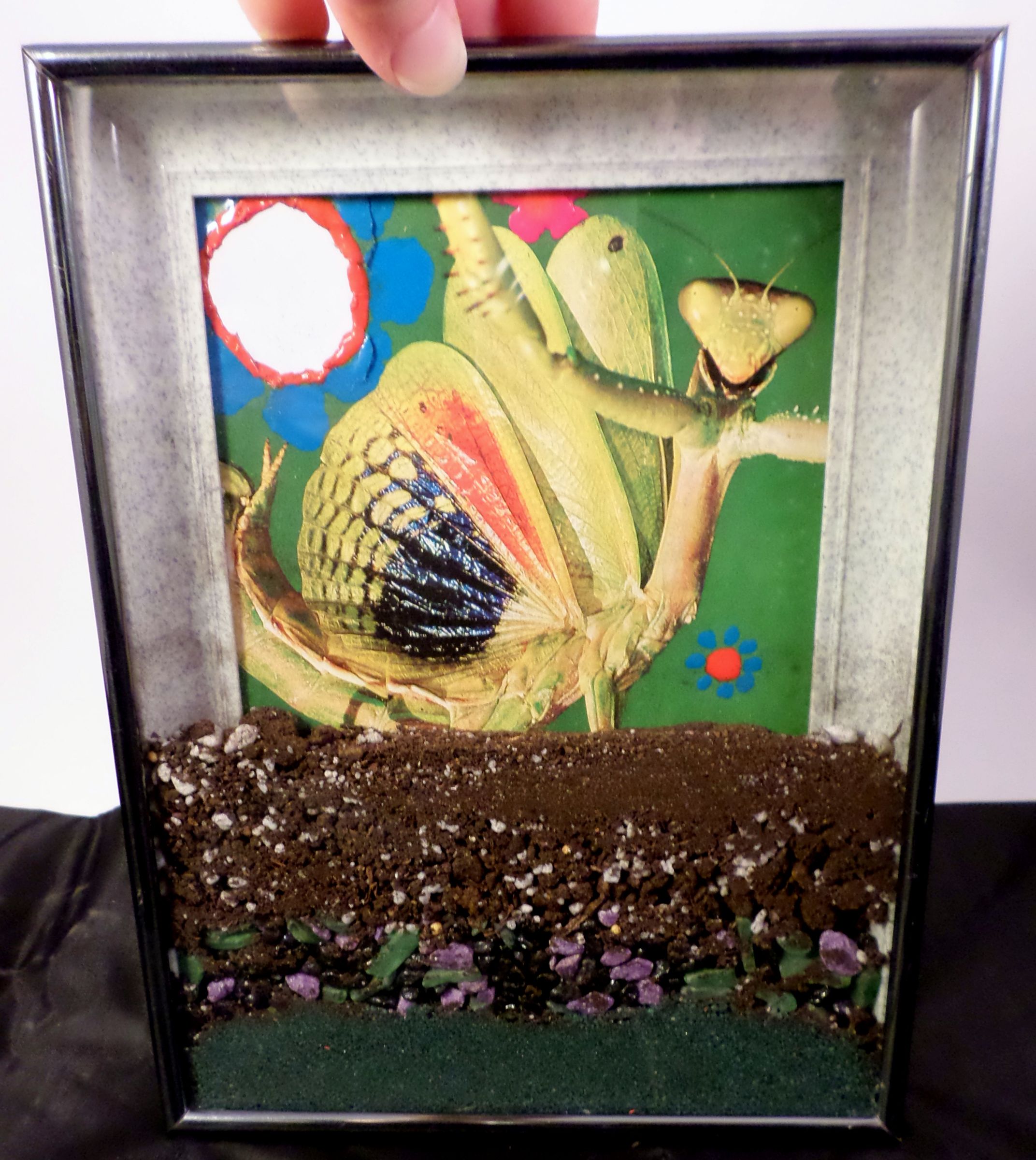Picture Frame Terrarium : 13 Steps (with Pictures) - Instructables