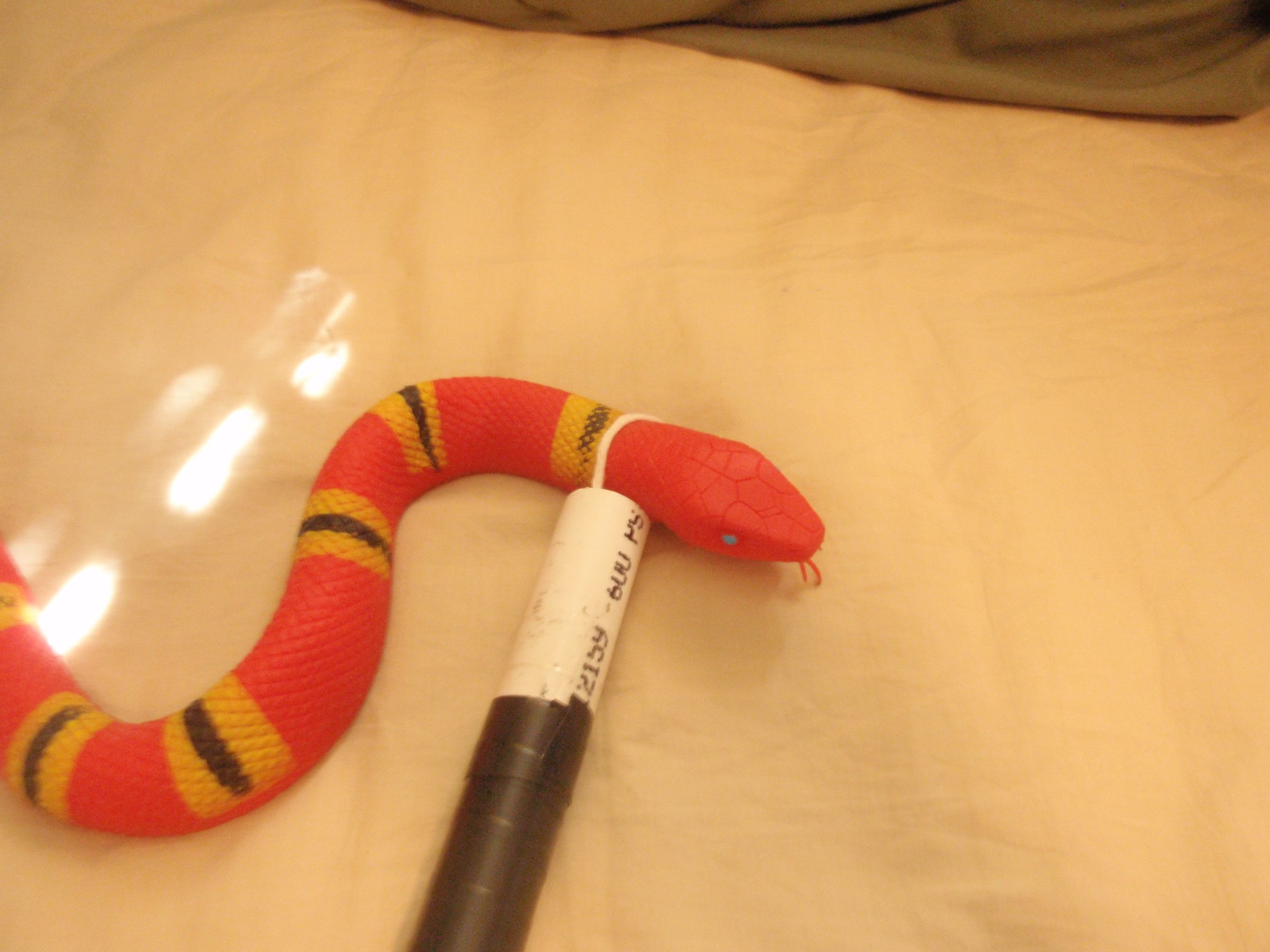 Snake & Small Animal Restraining Device - Instructables