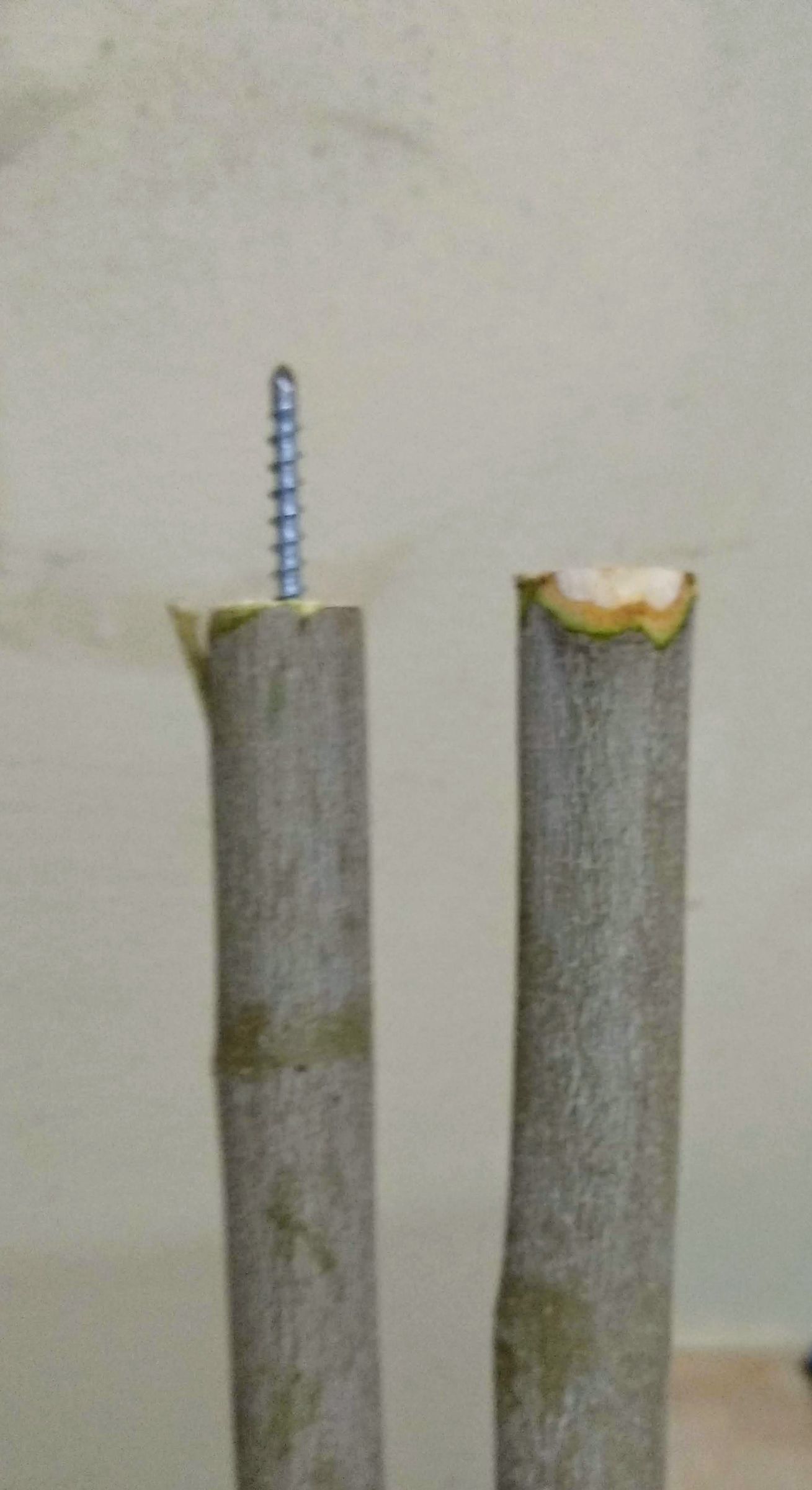 Tree Branch Curtain Rods/ Fairy-tale Sun Blockers : 6 Steps (with ...