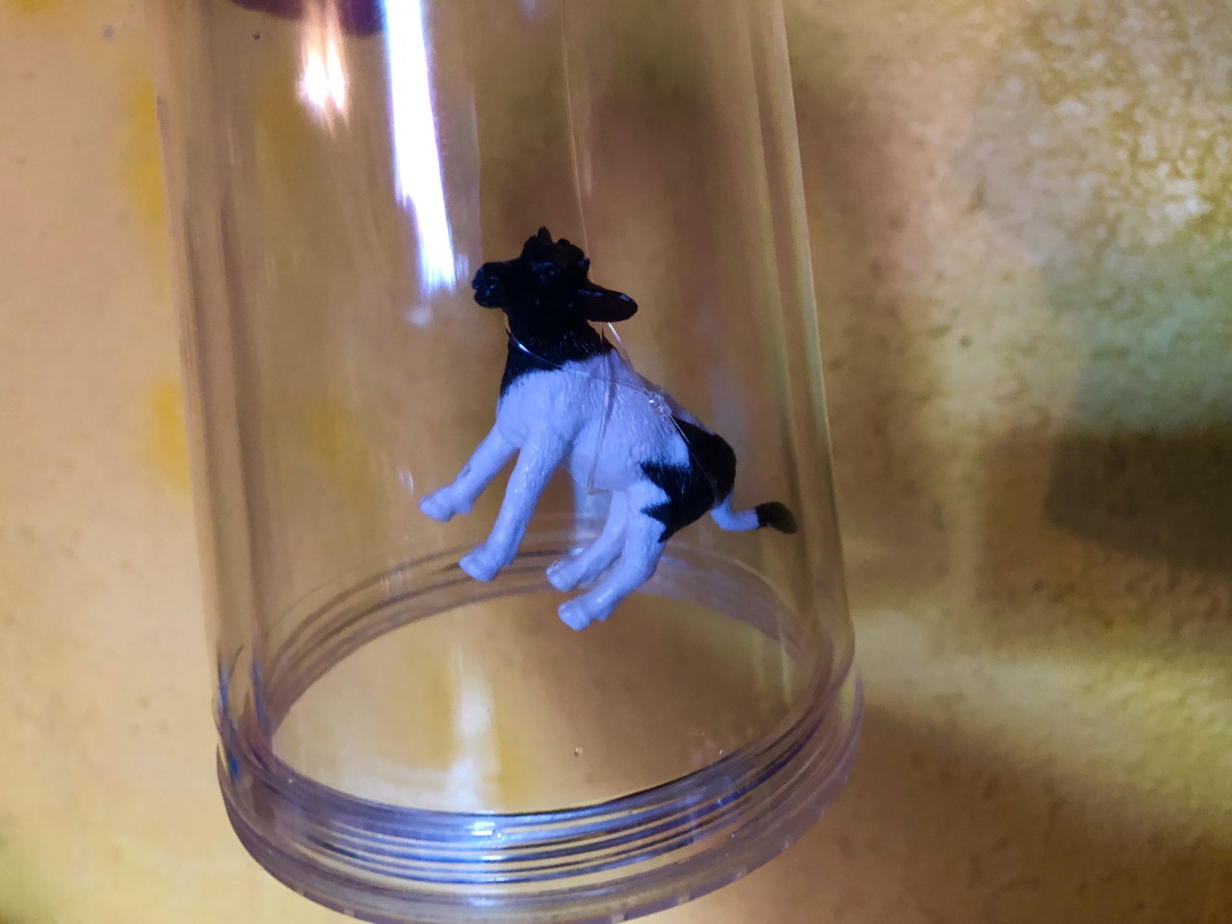 UFO Cow Abduction Cake : 10 Steps (with Pictures) - Instructables