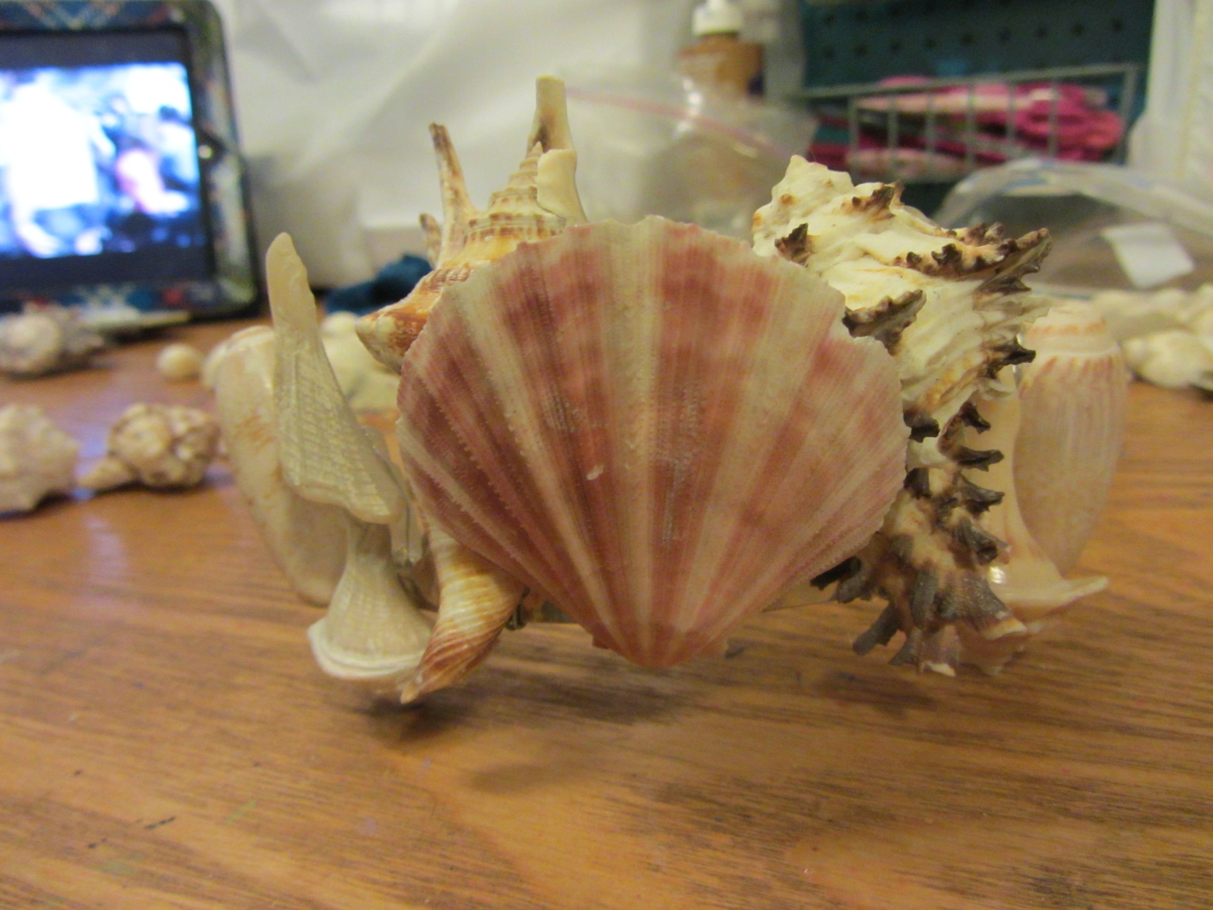 DIY Mermaid Shell Crown : 6 Steps (with Pictures) - Instructables